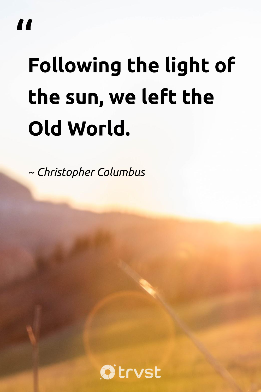 81 Sun Quotes & Captions To Brighten Your Day (2025)