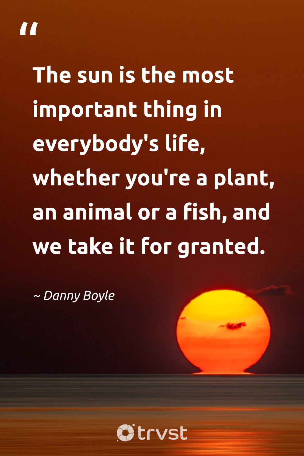 81 Sun Quotes & Captions To Brighten Your Day (2025)