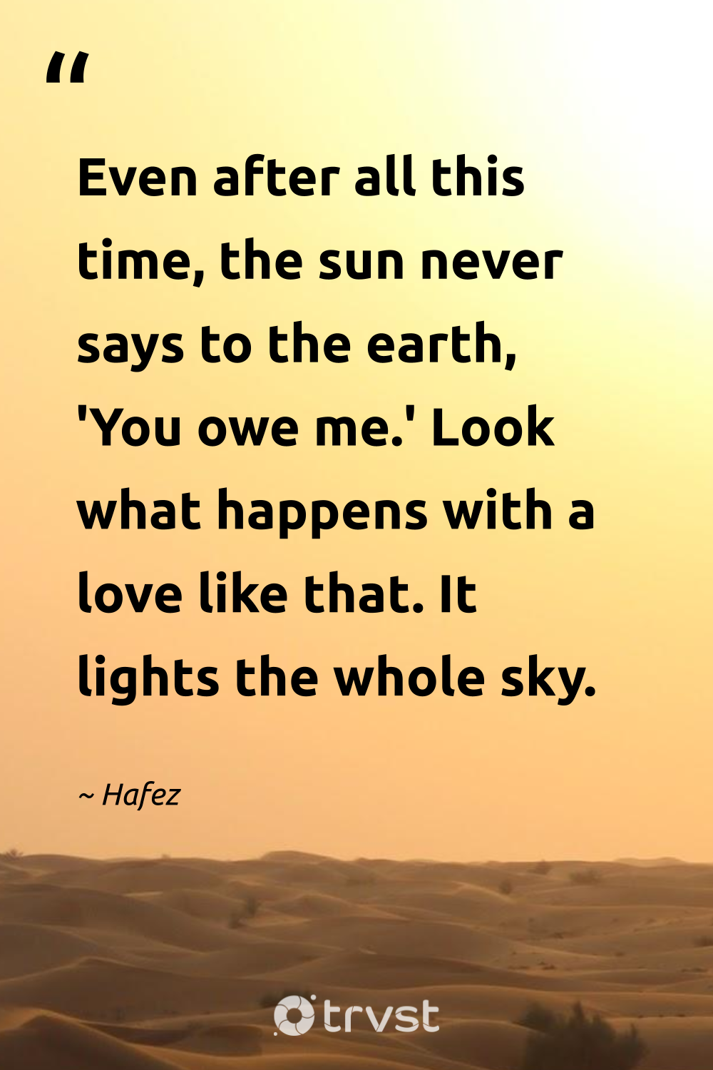 81 Sun Quotes & Captions To Brighten Your Day (2025)