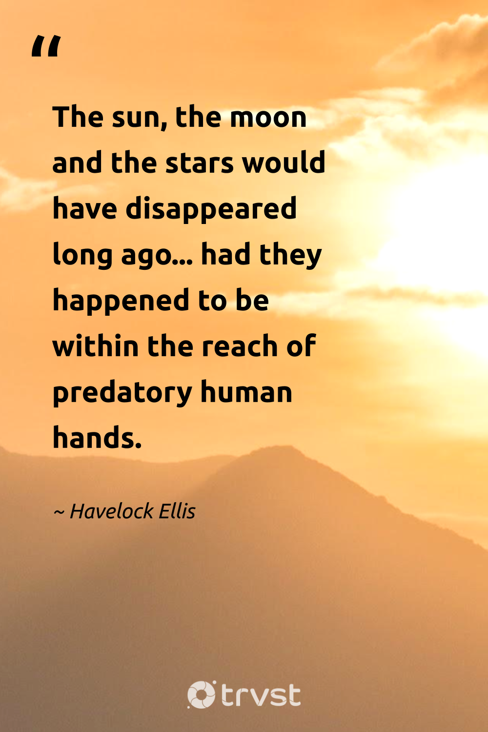 81 Sun Quotes & Captions To Brighten Your Day (2024)