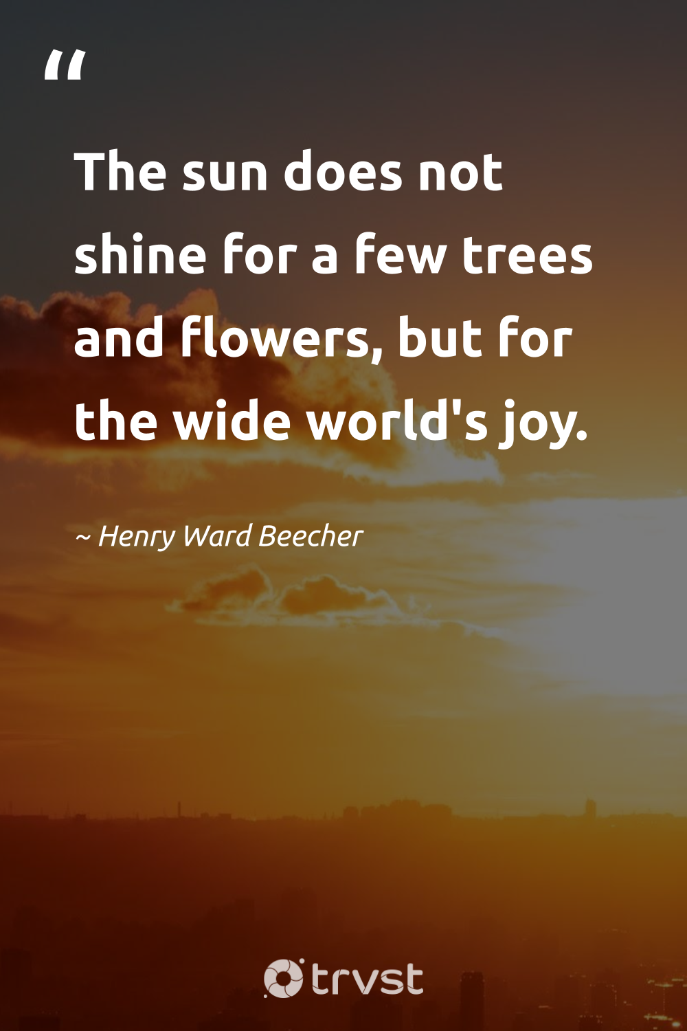 81 Sun Quotes & Captions To Brighten Your Day (2024)