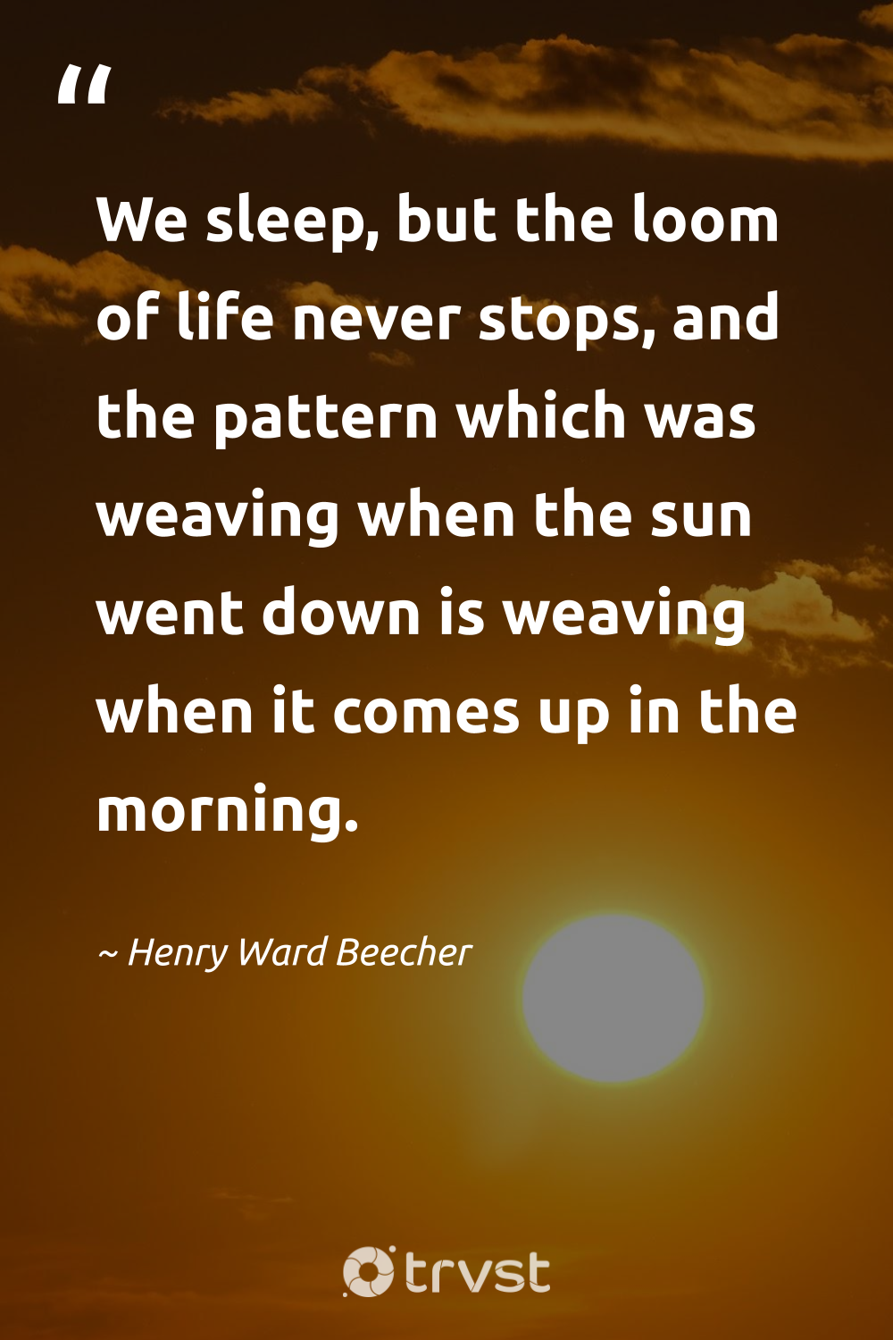 81 Sun Quotes & Captions To Brighten Your Day (2024)