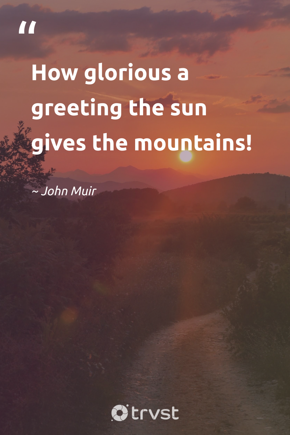 81 Sun Quotes & Captions To Brighten Your Day (2024)