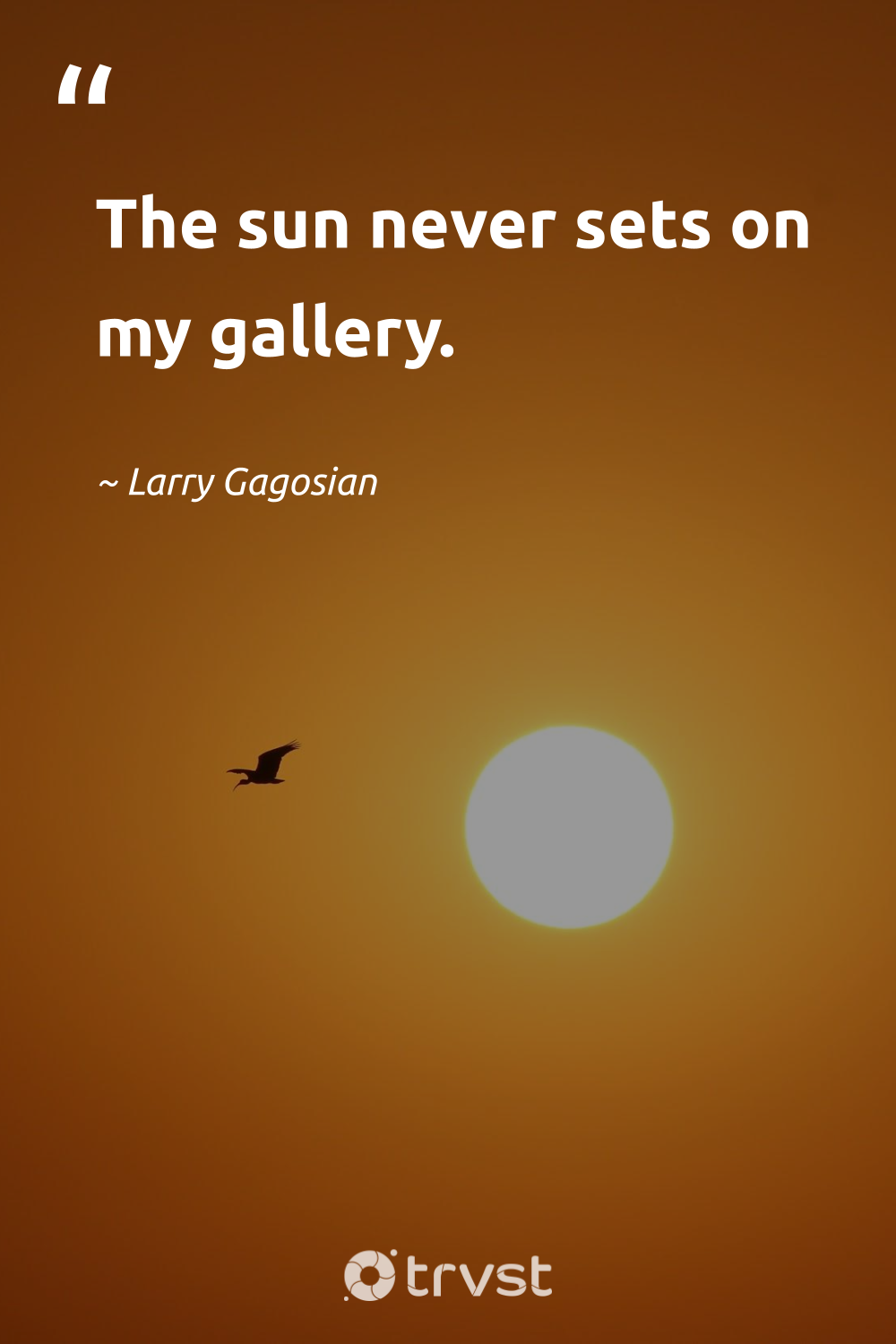 81 Sun Quotes & Captions To Brighten Your Day (2024)