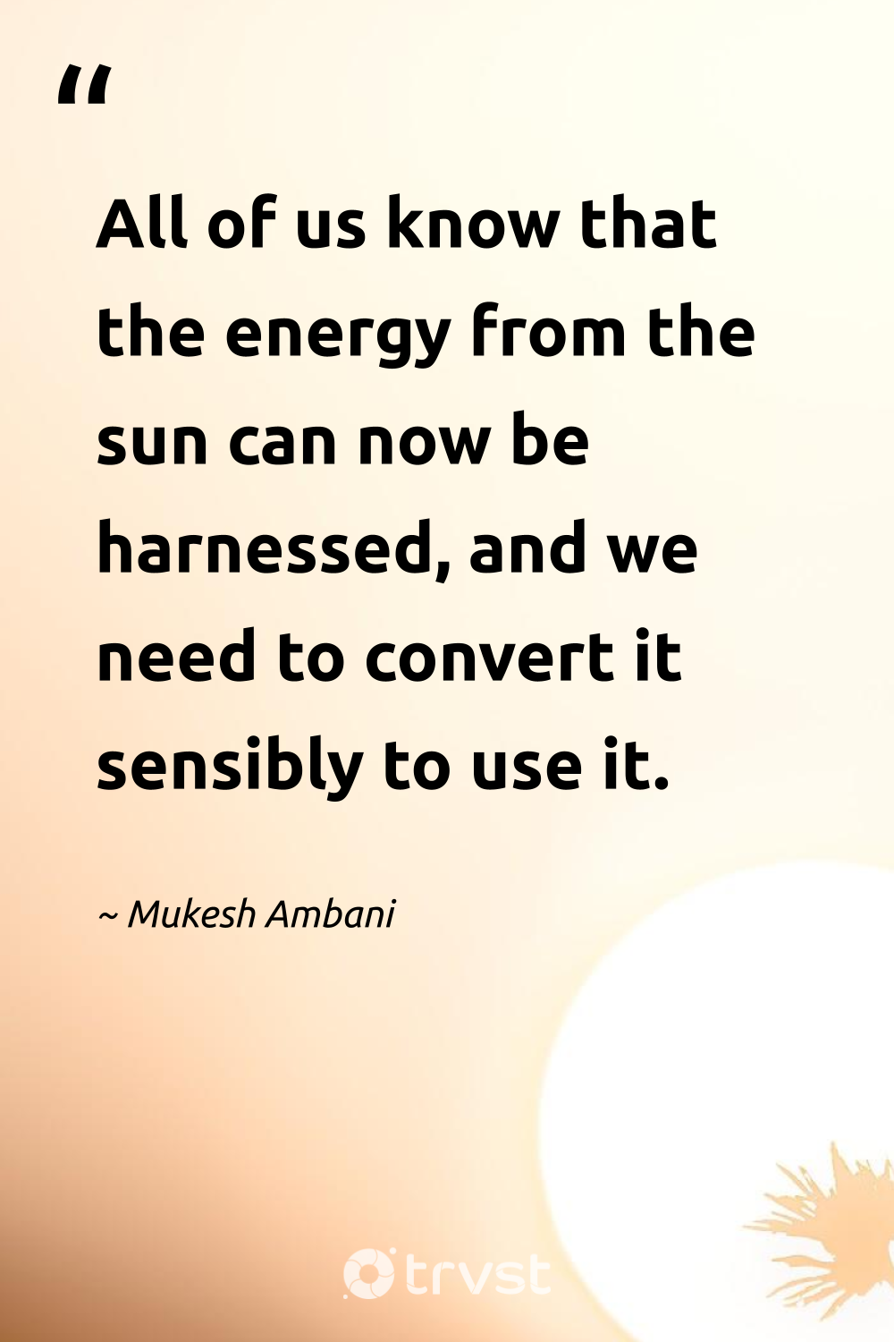 81 Sun Quotes & Captions To Brighten Your Day (2025)