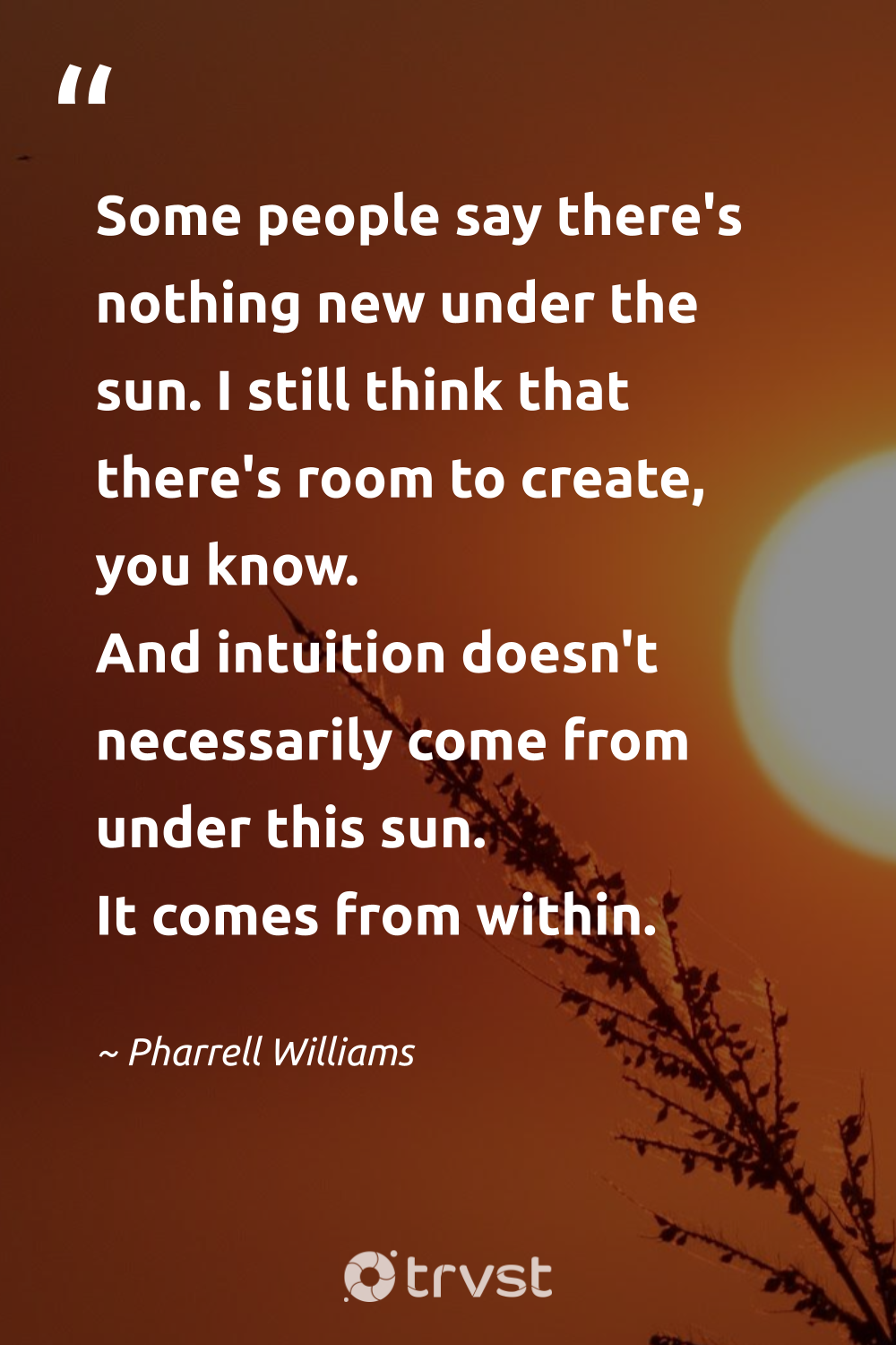 81 Sun Quotes & Captions To Brighten Your Day (2024)