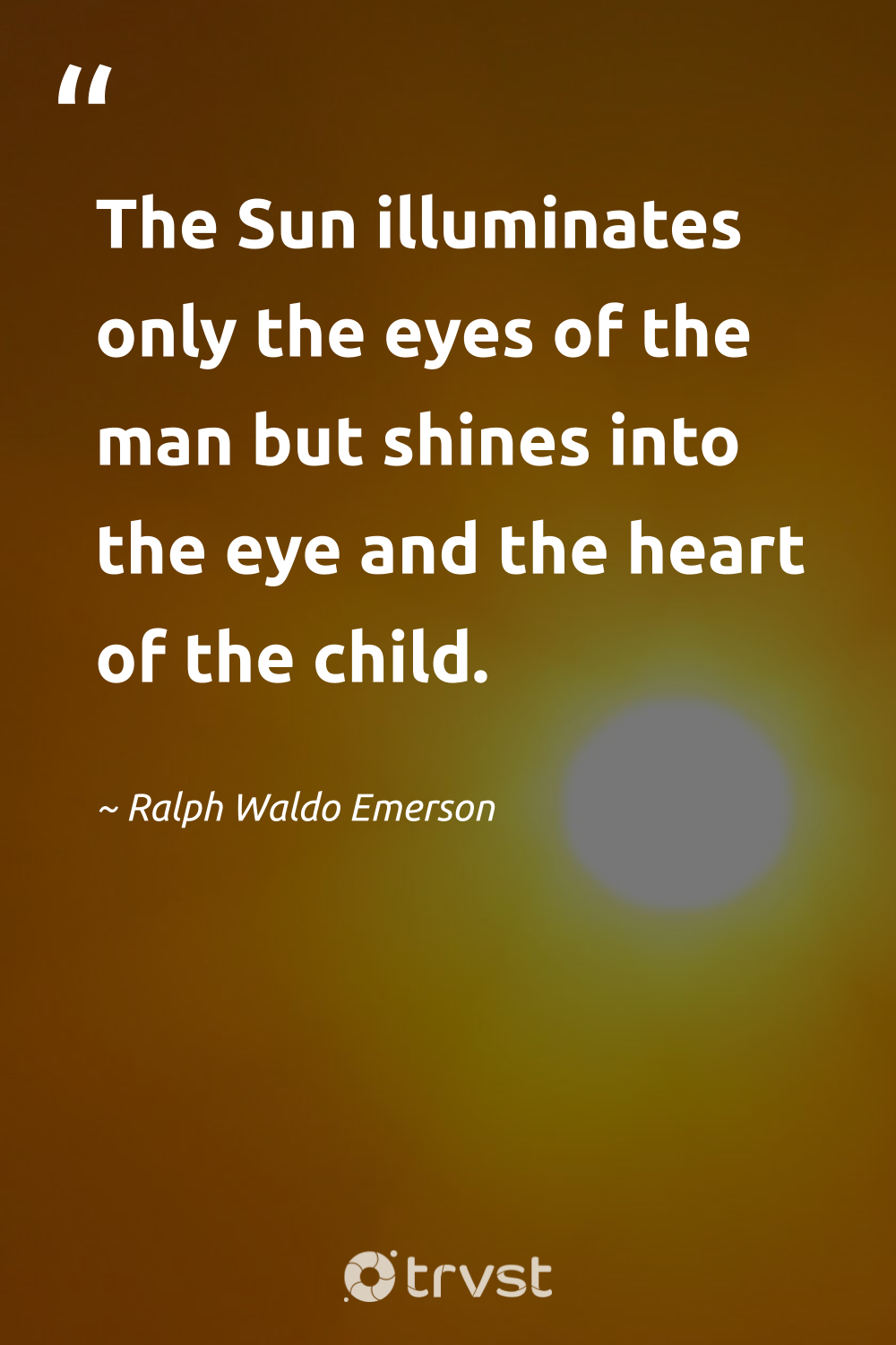 81 Sun Quotes & Captions To Brighten Your Day (2025)