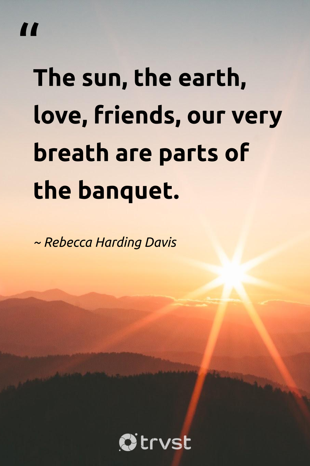 81 Sun Quotes & Captions To Brighten Your Day (2025)