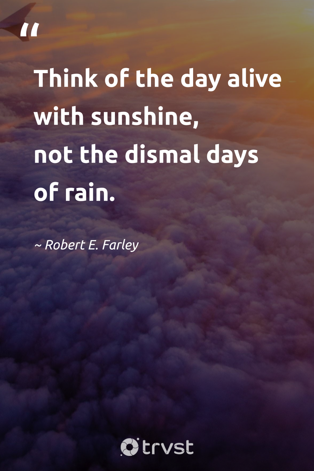 81 Sun Quotes & Captions To Brighten Your Day (2024)