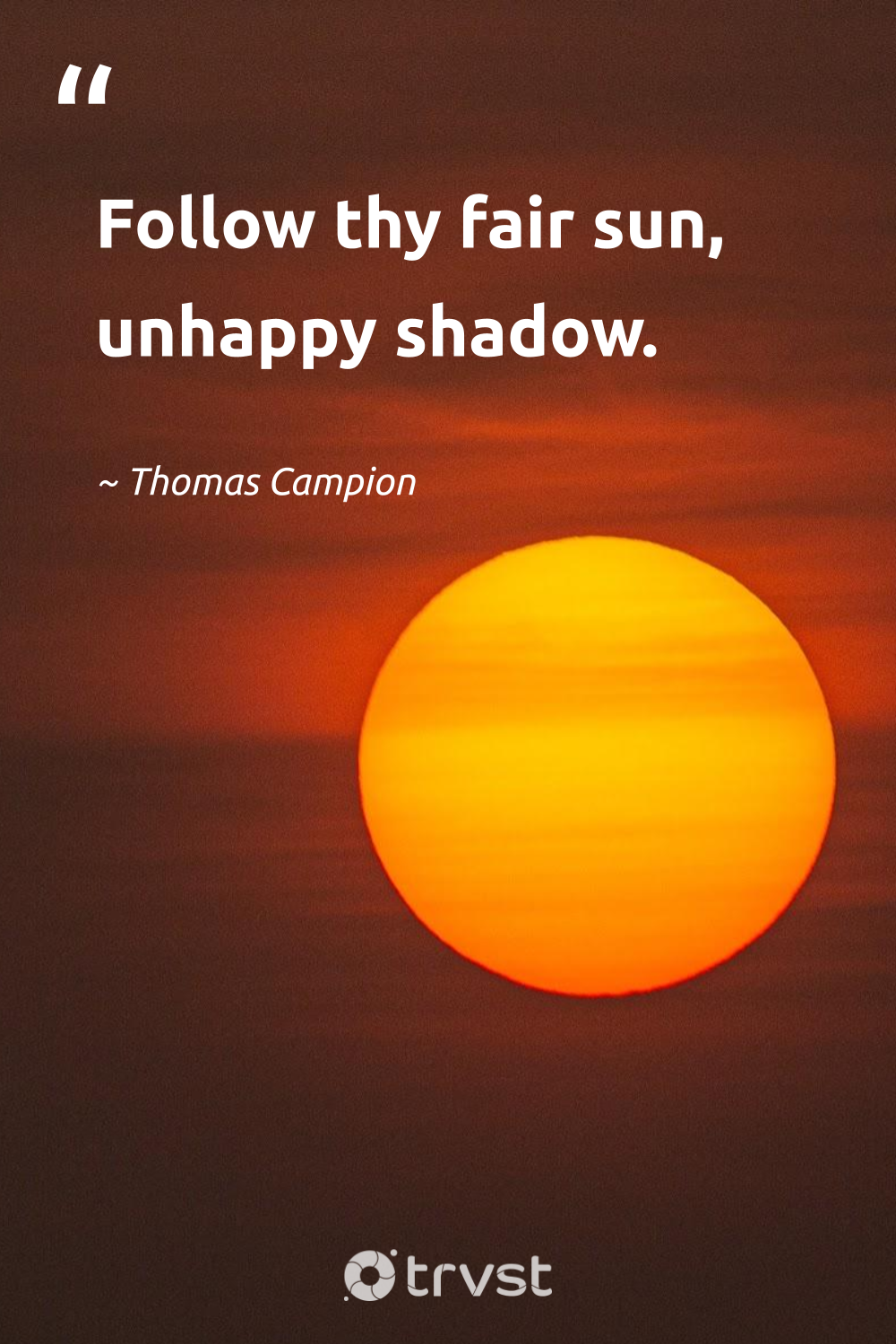 81 Sun Quotes & Captions To Brighten Your Day (2025)
