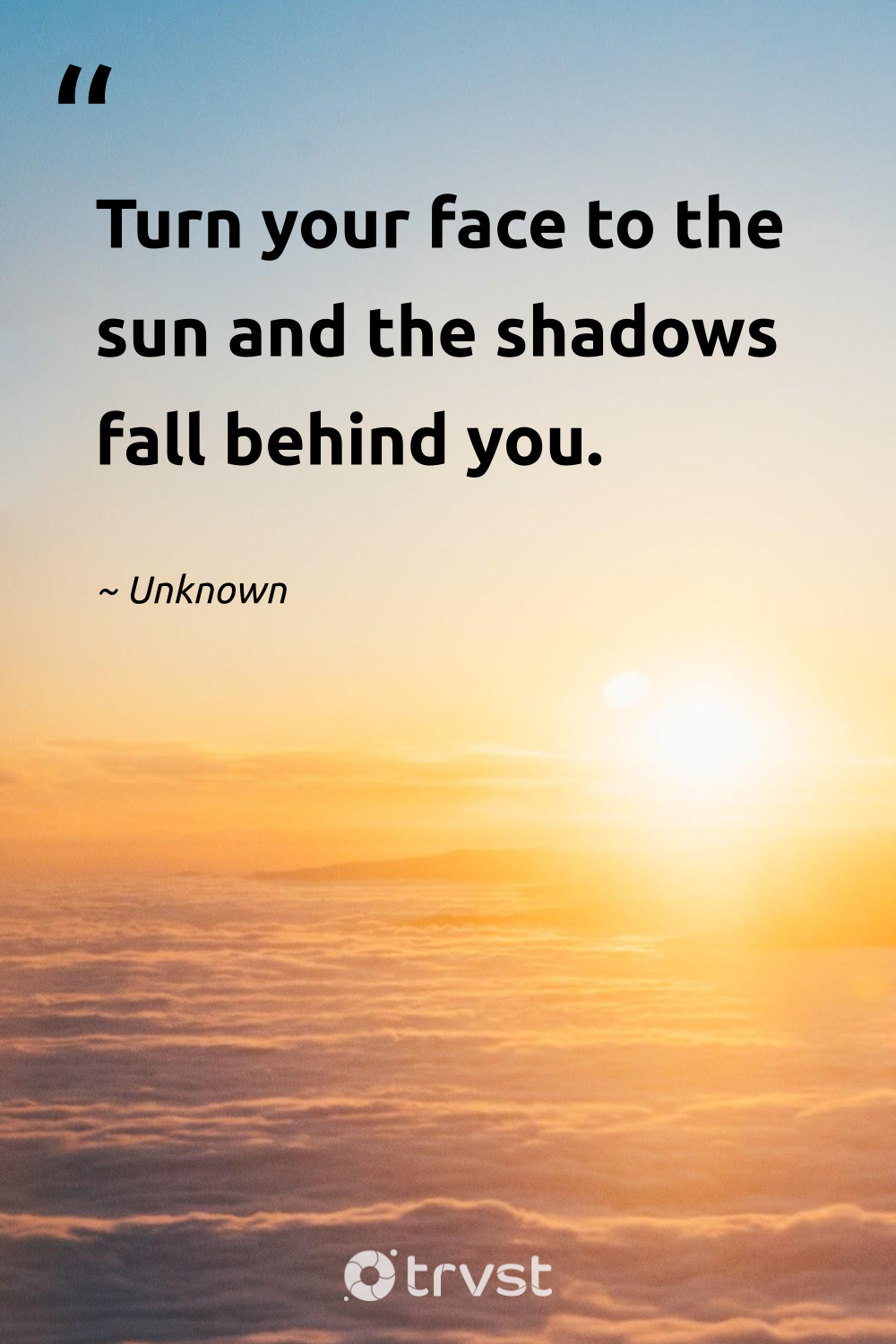 81 Sun Quotes & Captions To Brighten Your Day (2025)