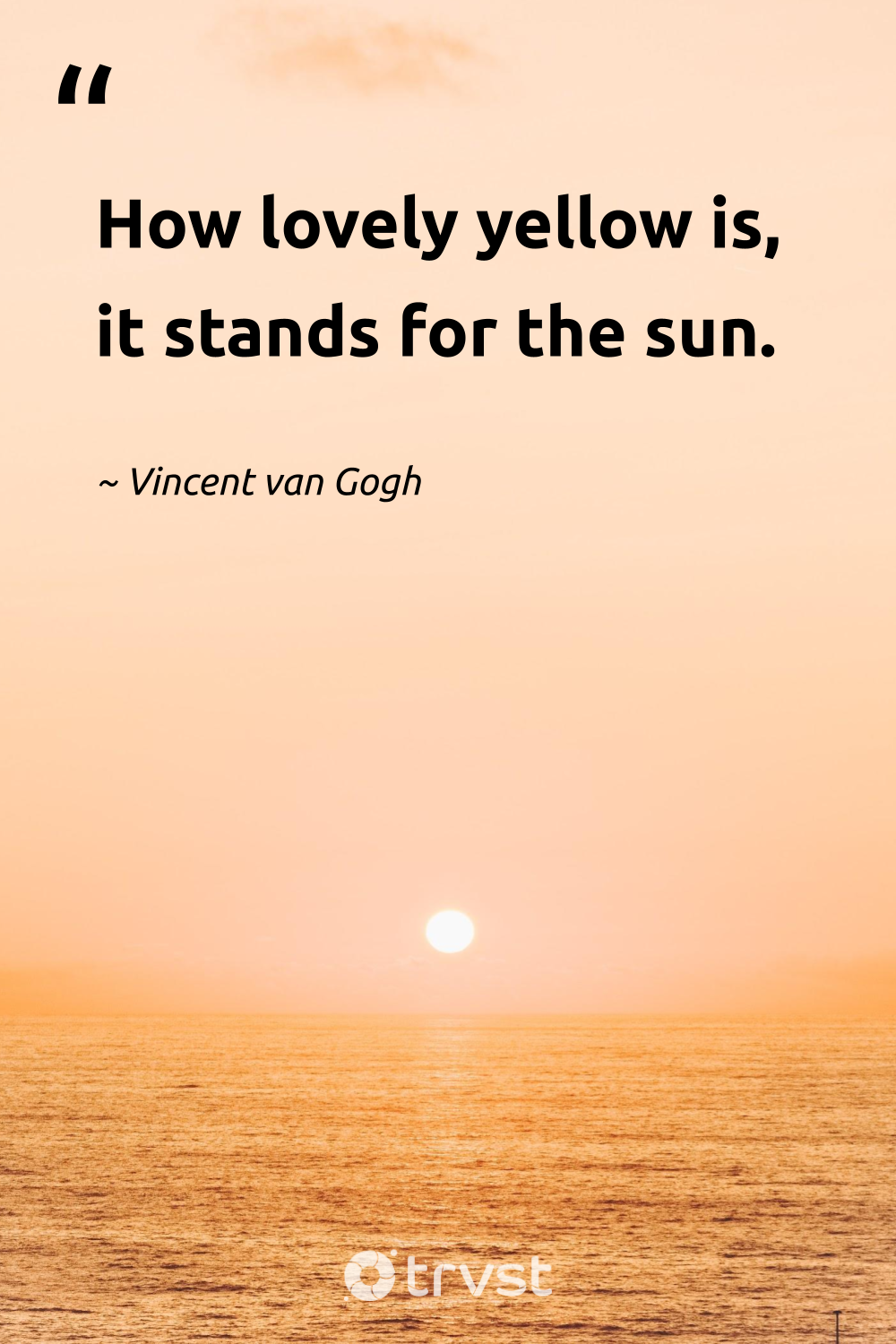 81 Sun Quotes & Captions To Brighten Your Day (2024)