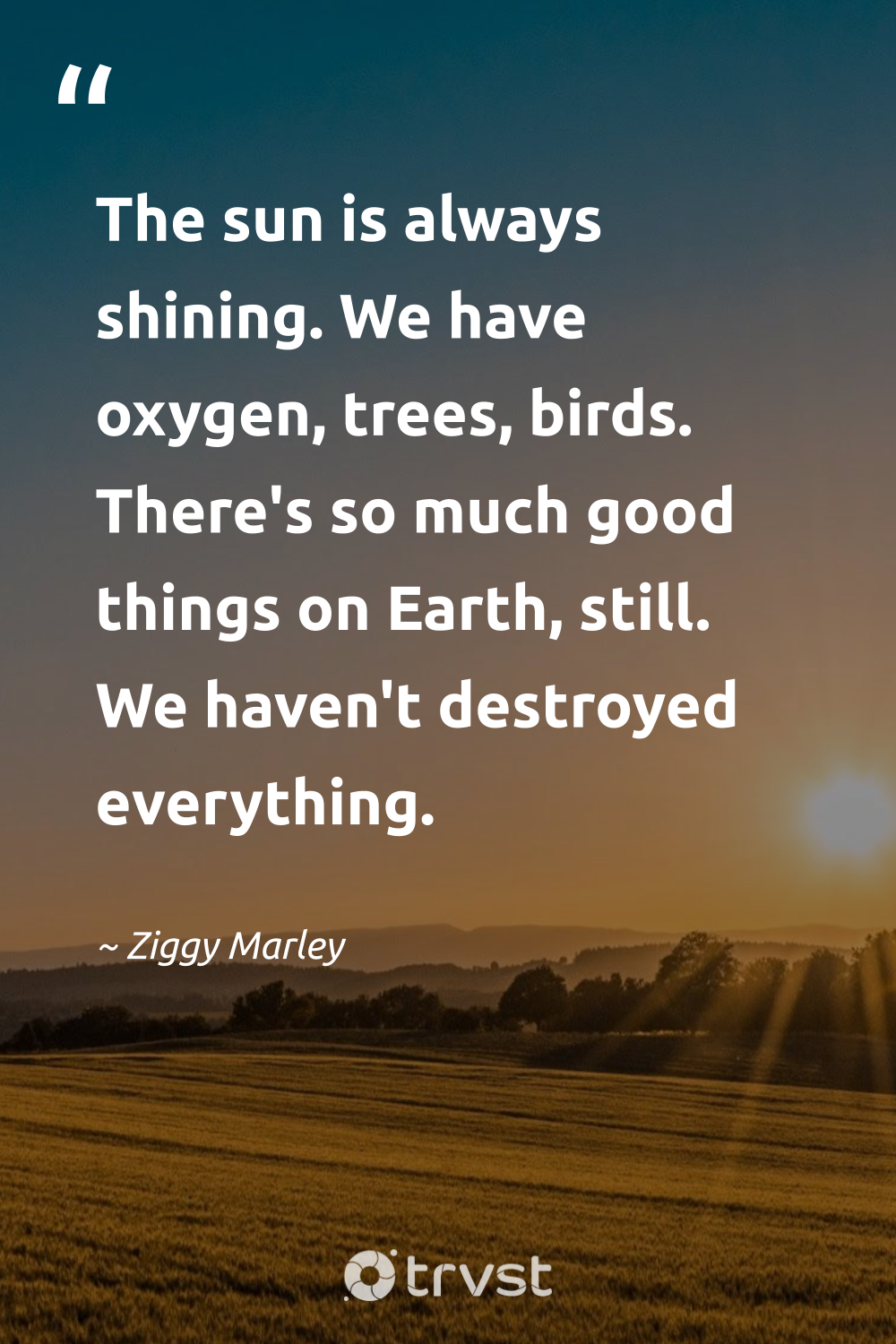 81 Sun Quotes & Captions To Brighten Your Day (2024)