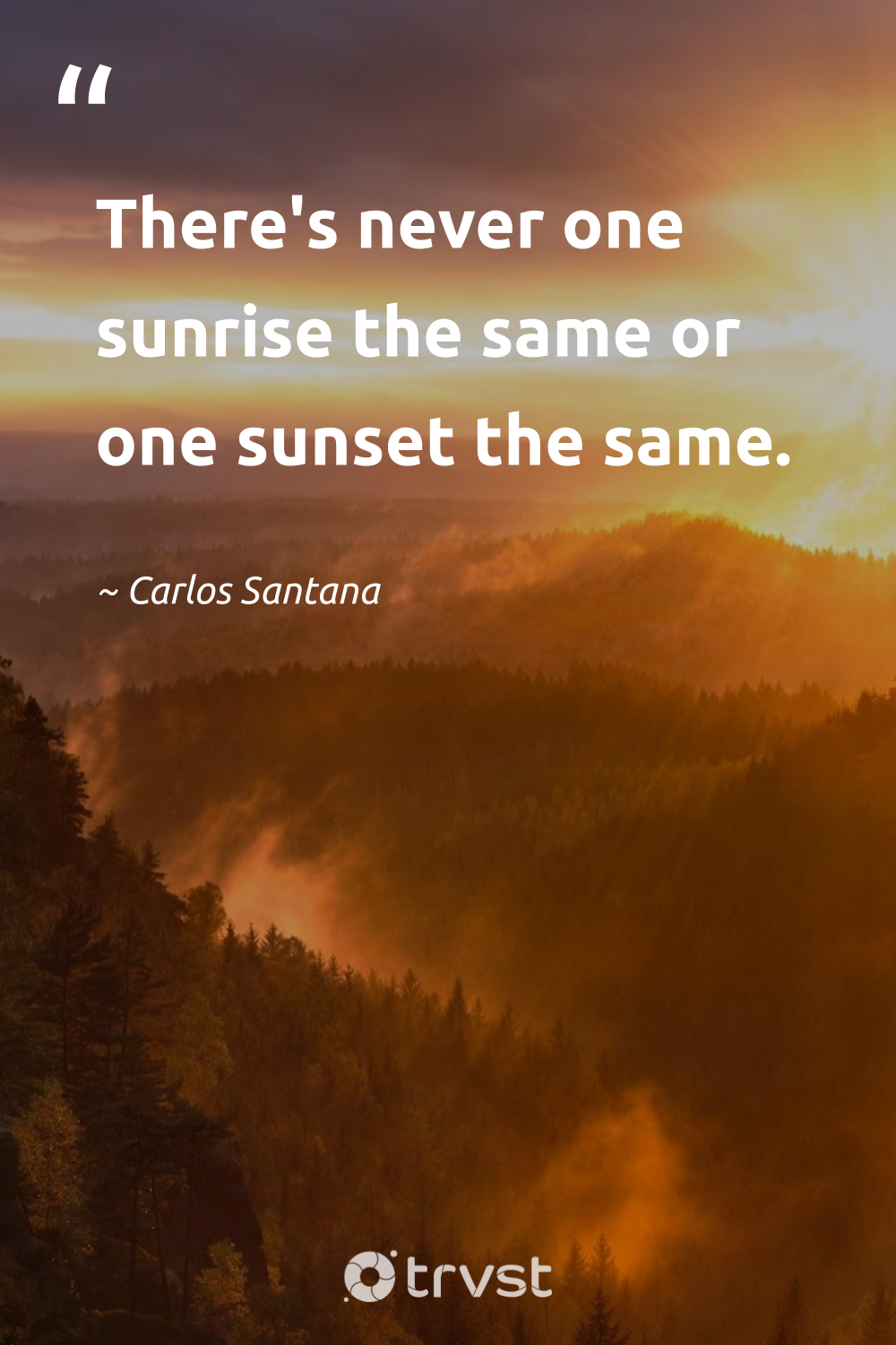 96 Beautiful Sunrise Quotes To Start Your Day Right (2025)