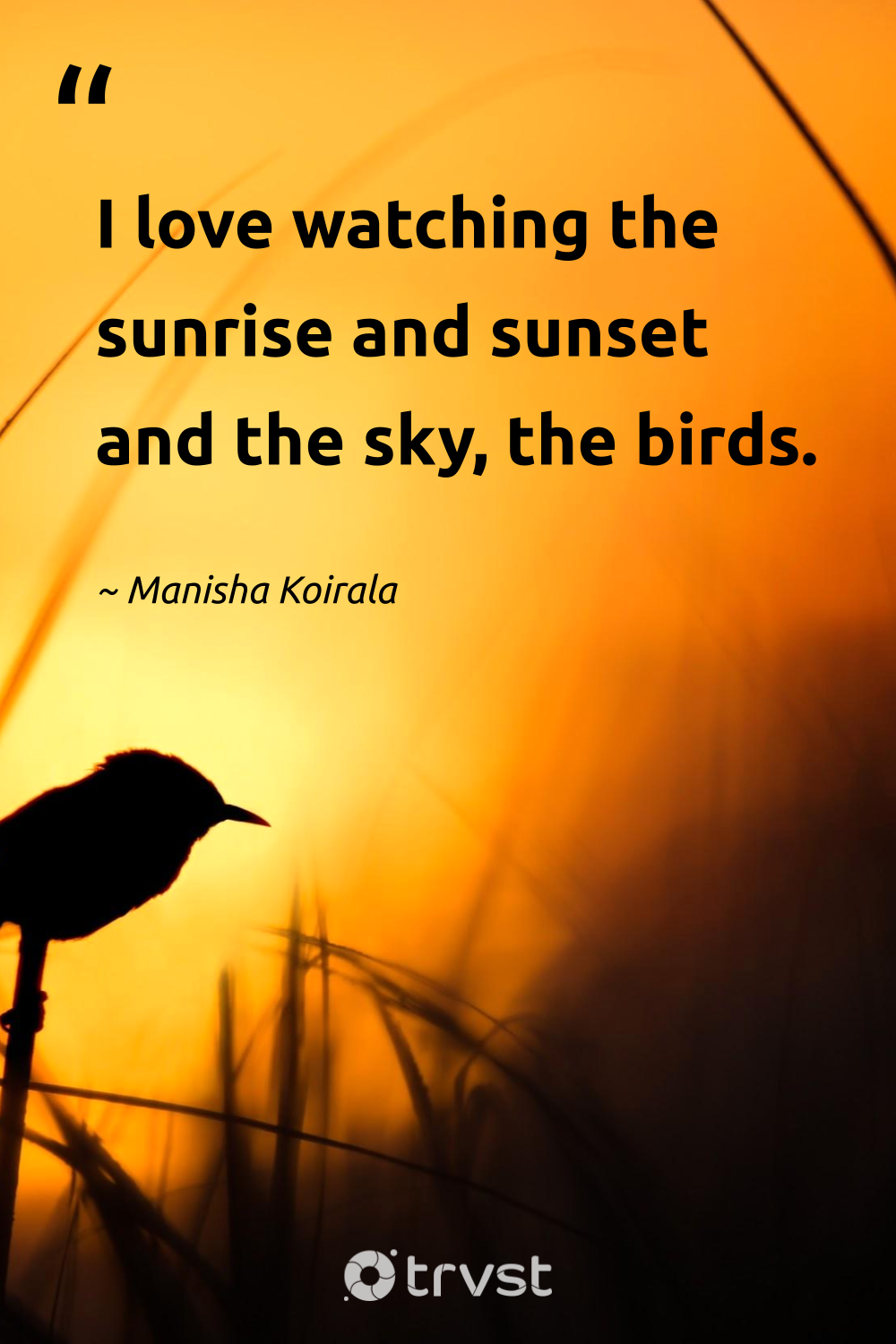 96 Beautiful Sunrise Quotes To Start Your Day Right (2025)