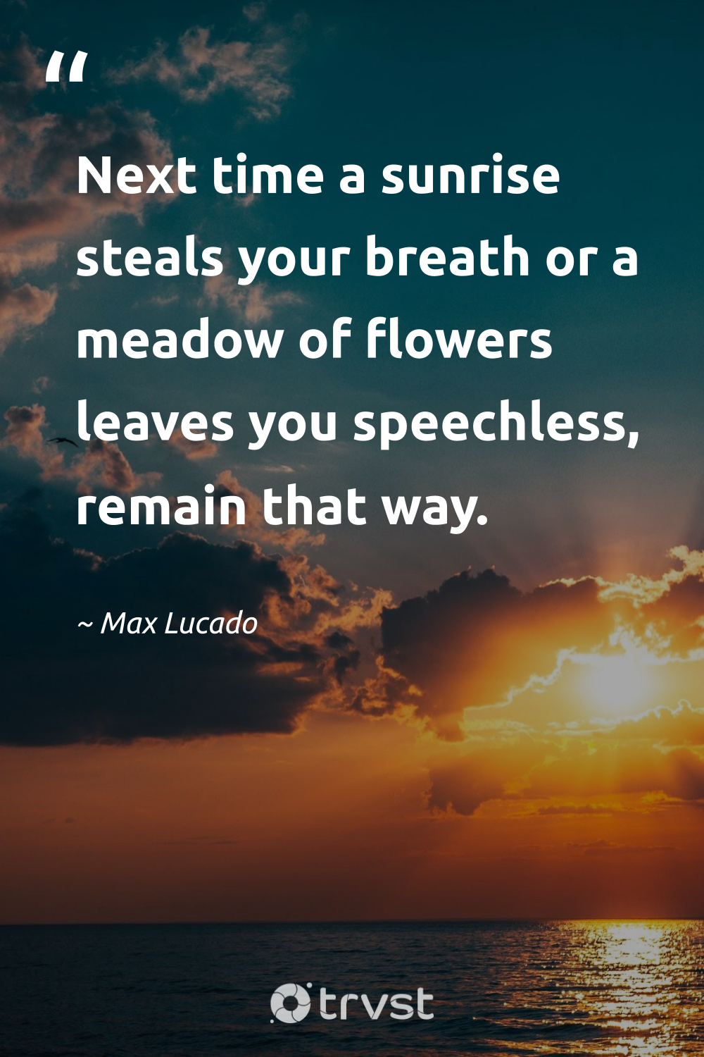 96 Beautiful Sunrise Quotes To Start Your Day Right (2025)