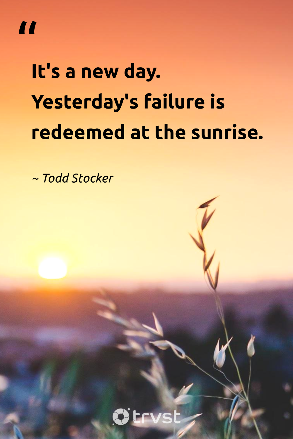 96 Beautiful Sunrise Quotes To Start Your Day Right (2025)