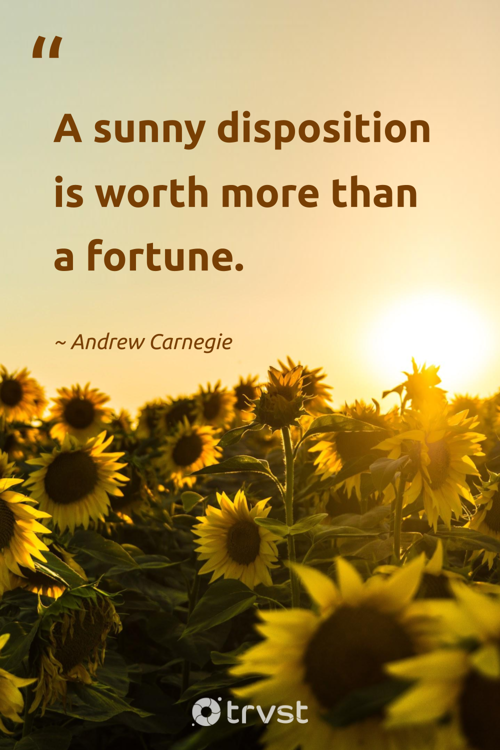 93 Sunshine Quotes & Sayings To Embrace Warmth (2025)