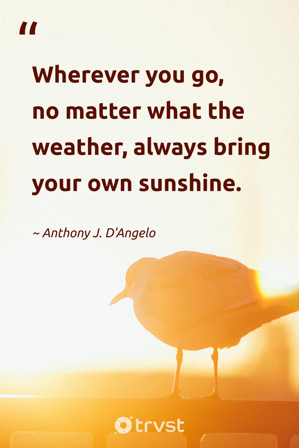 93 Sunshine Quotes & Sayings To Embrace Warmth (2024)