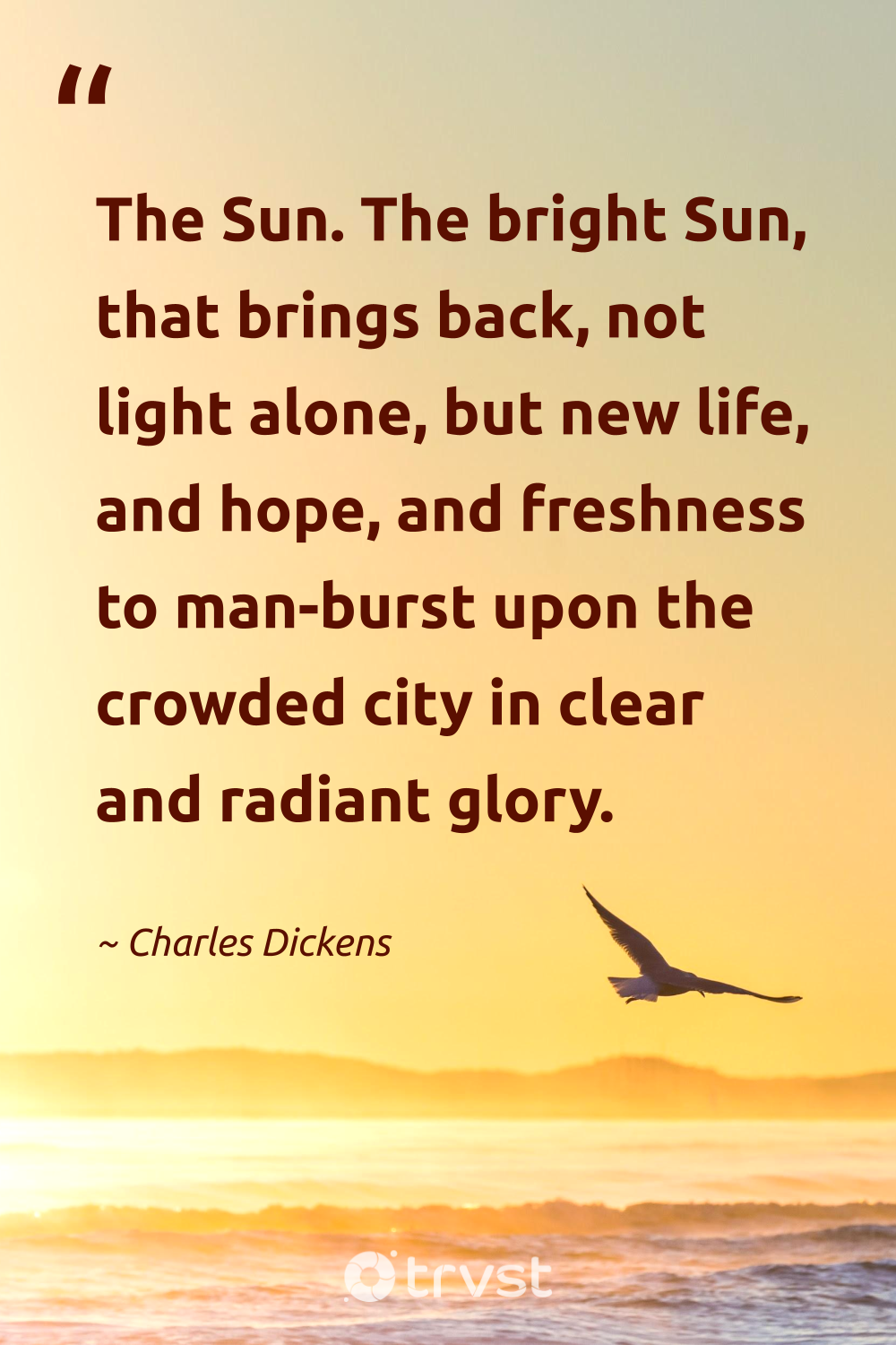 93 Sunshine Quotes & Sayings To Embrace Warmth (2025)