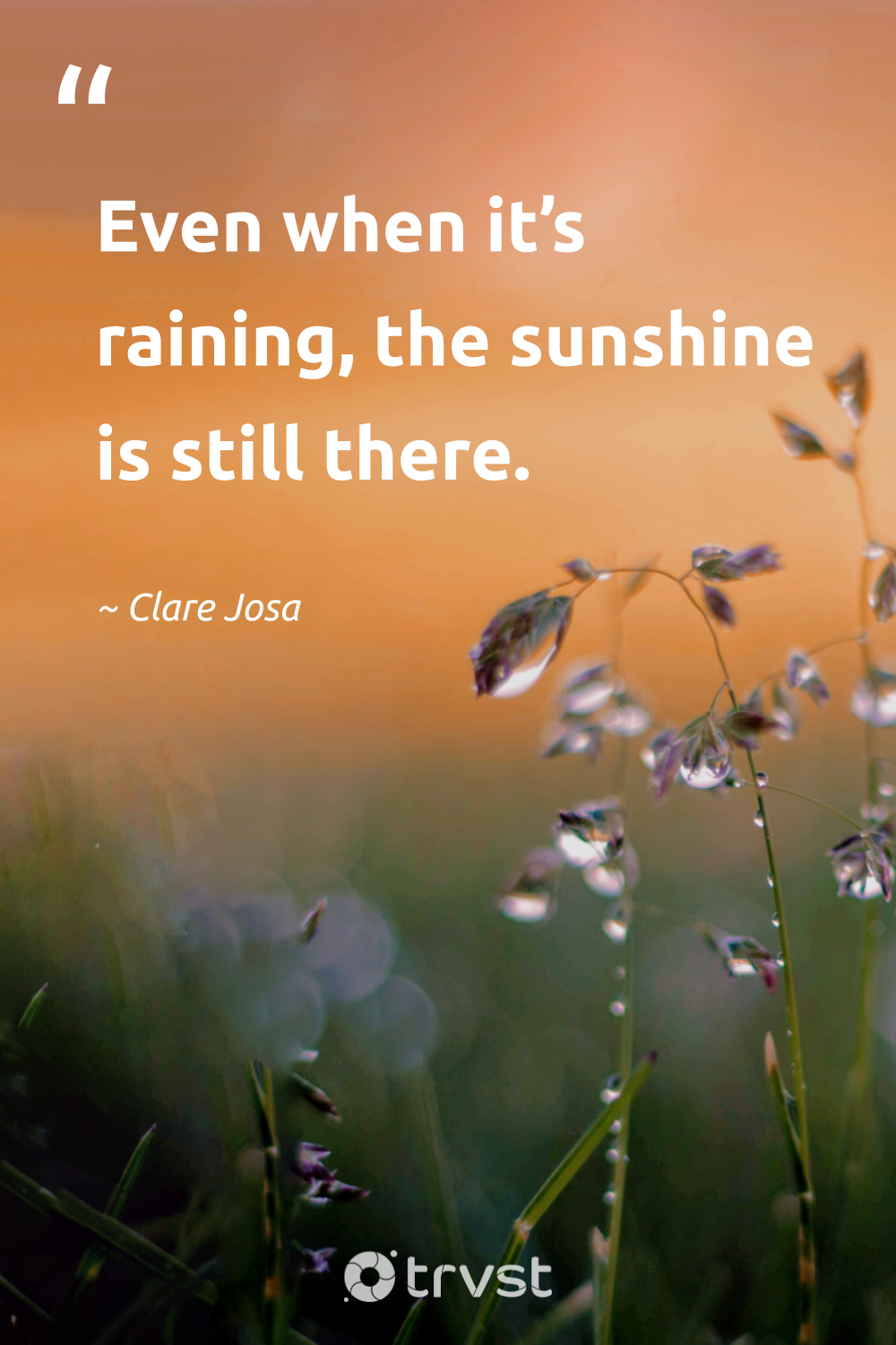 93 Sunshine Quotes & Sayings To Embrace Warmth (2025)