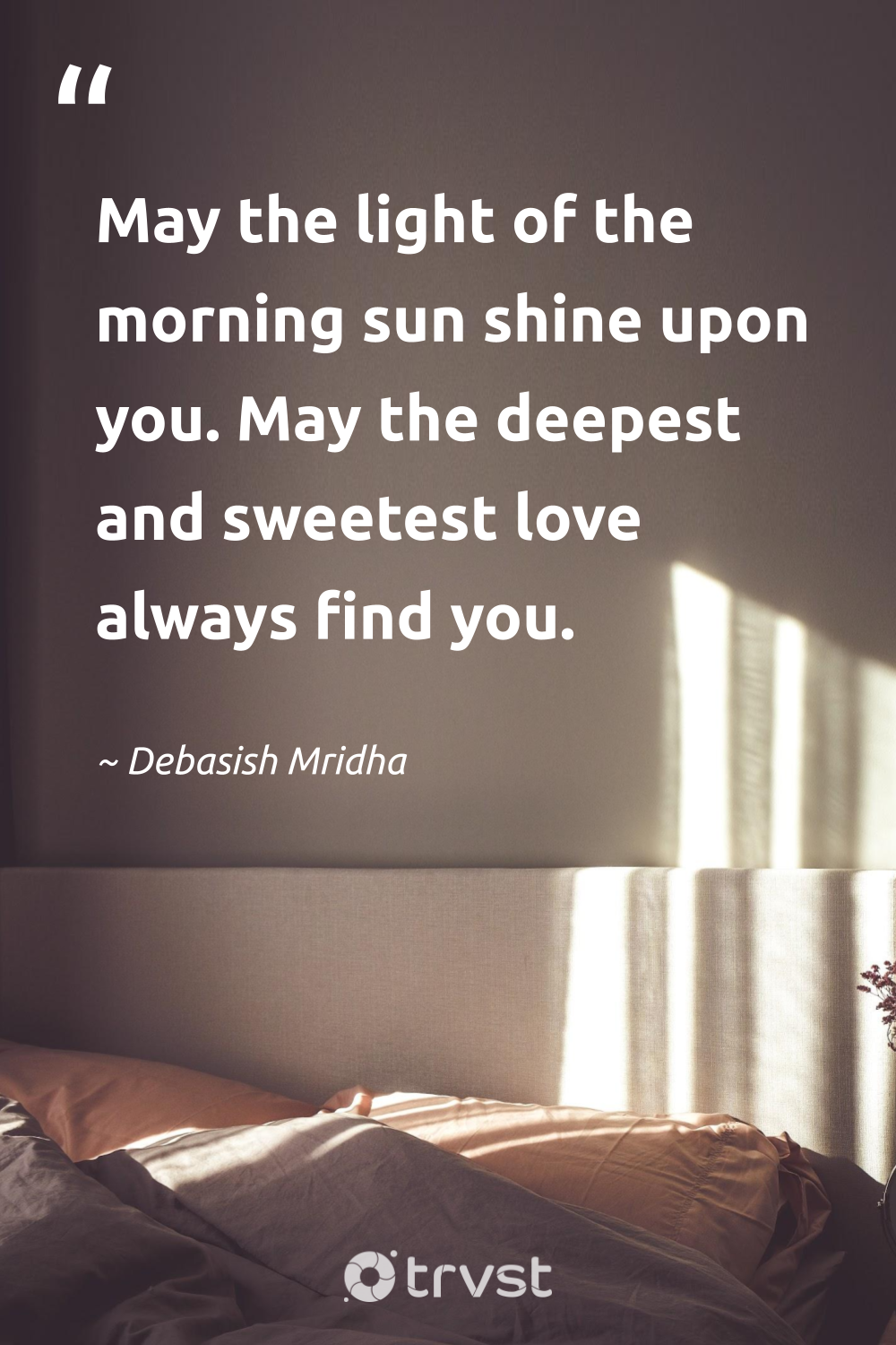 93 Sunshine Quotes & Sayings To Embrace Warmth (2025)