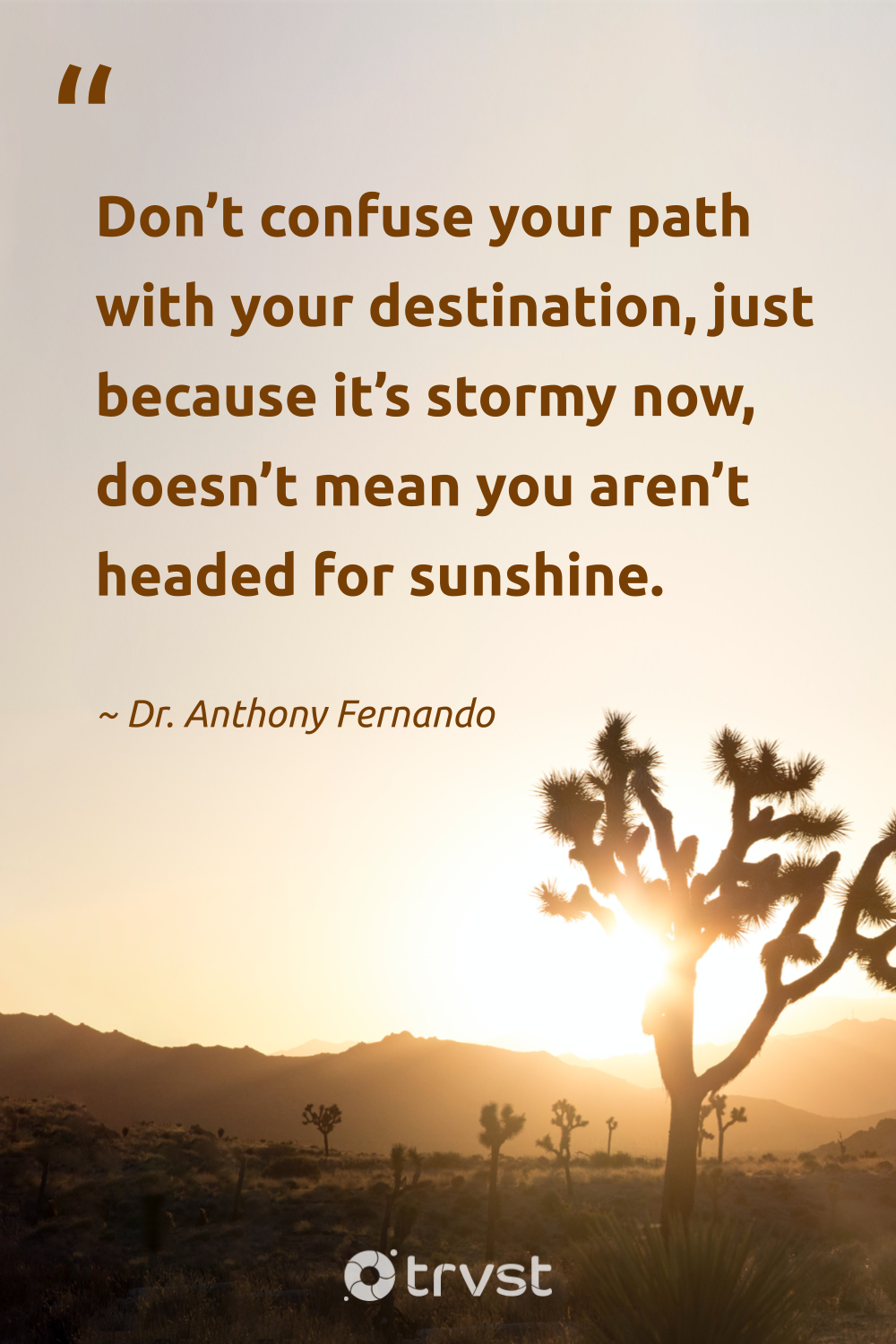 93 Sunshine Quotes & Sayings To Embrace Warmth (2025)