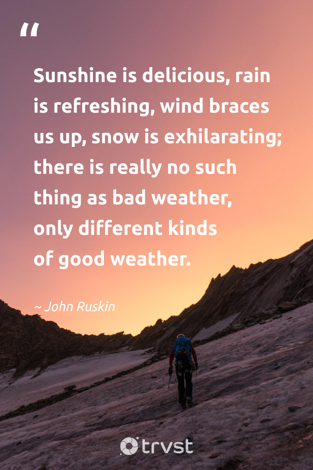 93 Sunshine Quotes & Sayings To Embrace Warmth (2025)