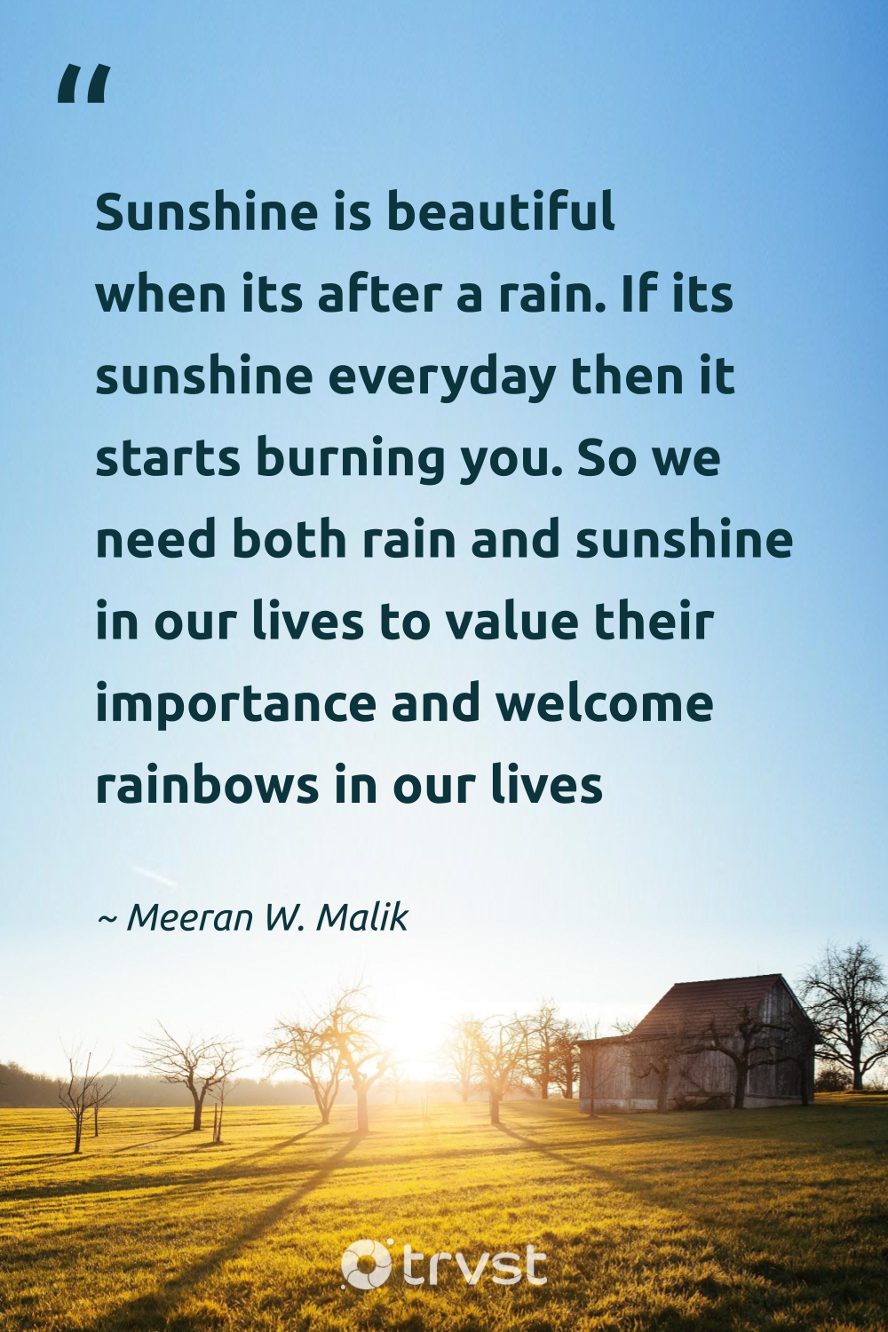 93 Sunshine Quotes & Sayings To Embrace Warmth (2025)