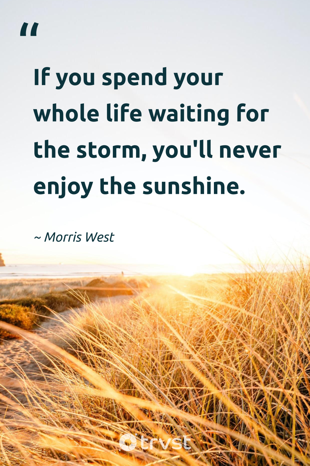 93 Sunshine Quotes & Sayings To Embrace Warmth (2025)