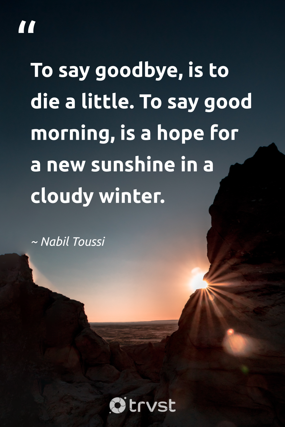 93 Sunshine Quotes & Sayings To Embrace Warmth (2024)