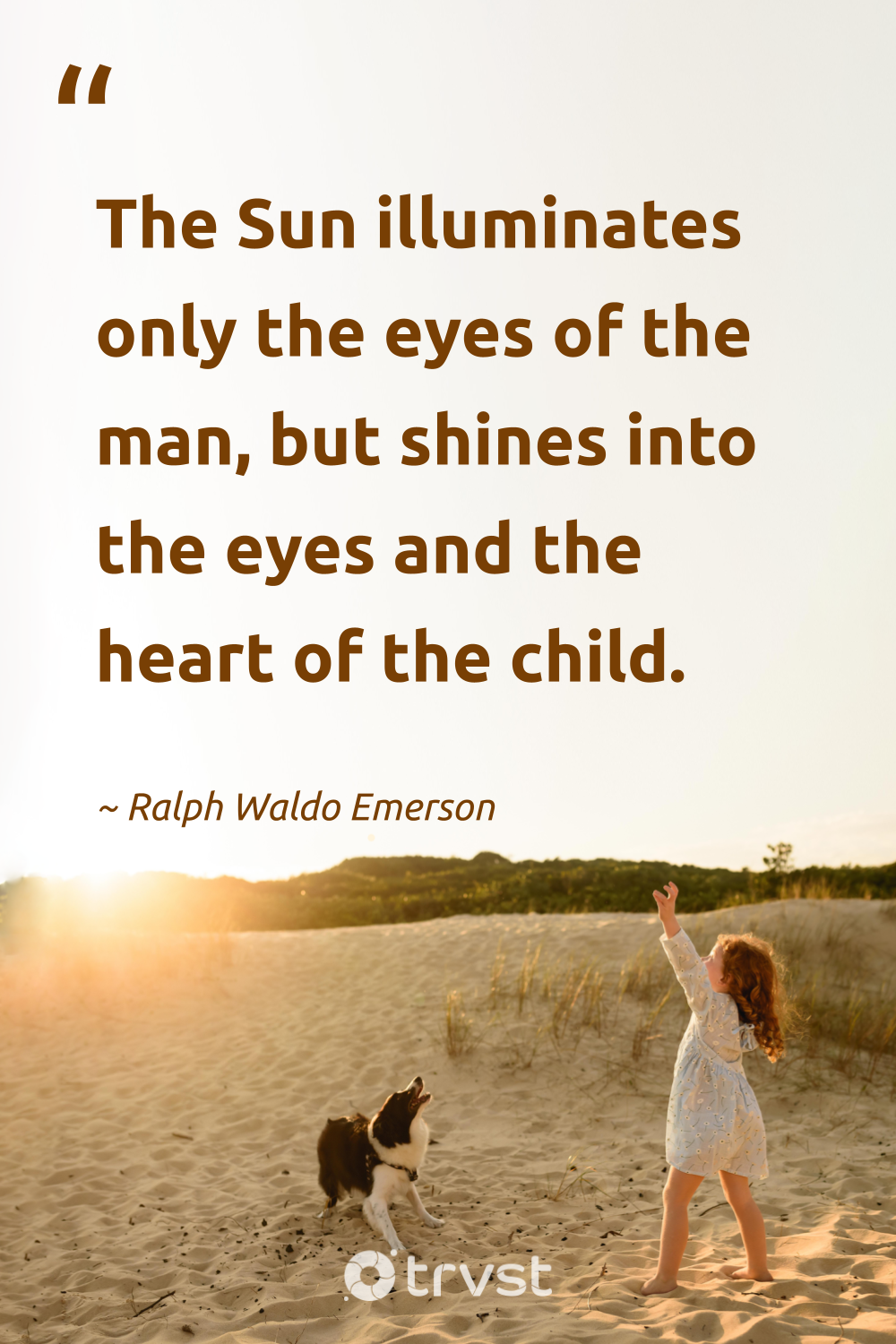 93 Sunshine Quotes & Sayings To Embrace Warmth (2024)