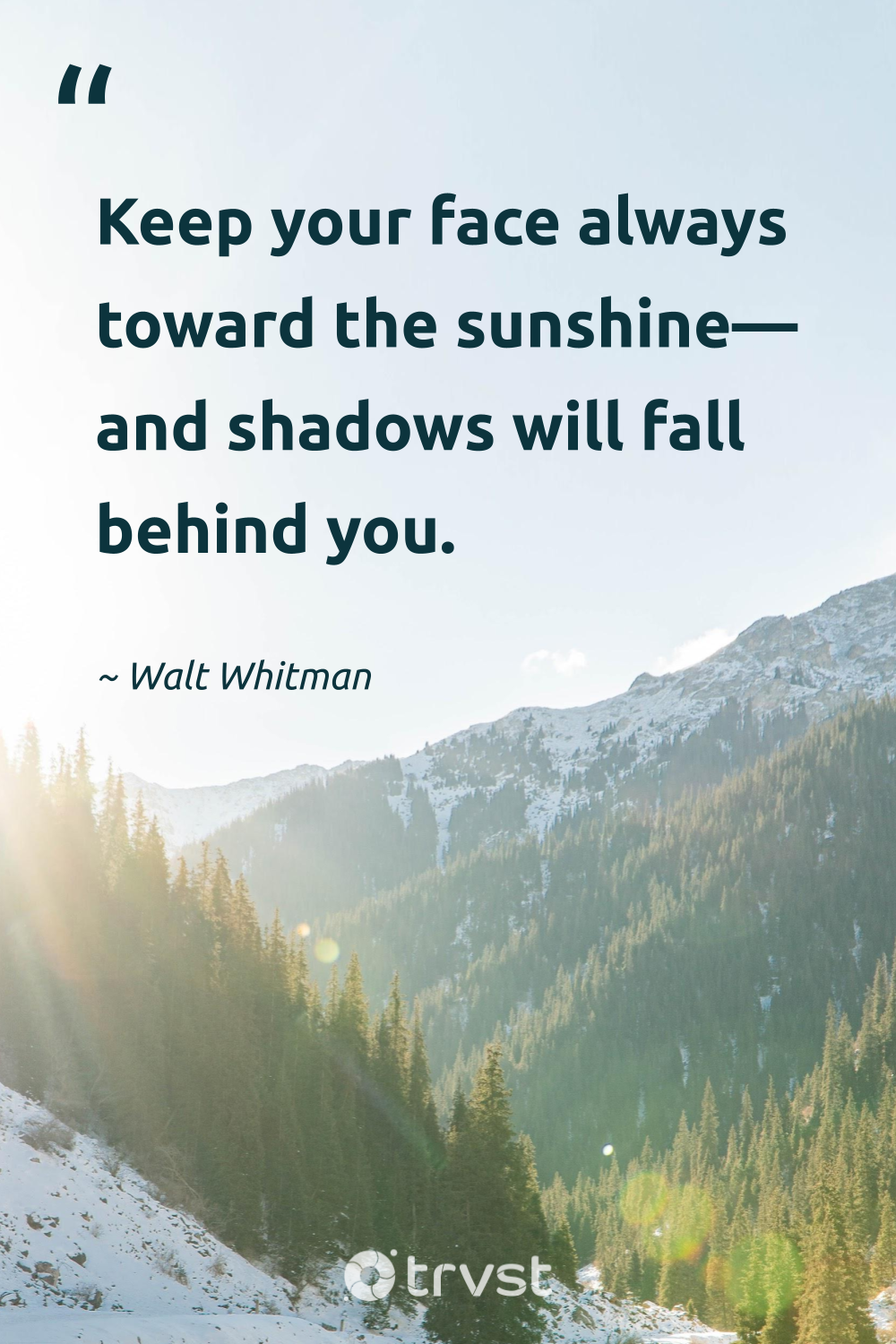 93 Sunshine Quotes & Sayings To Embrace Warmth (2024)