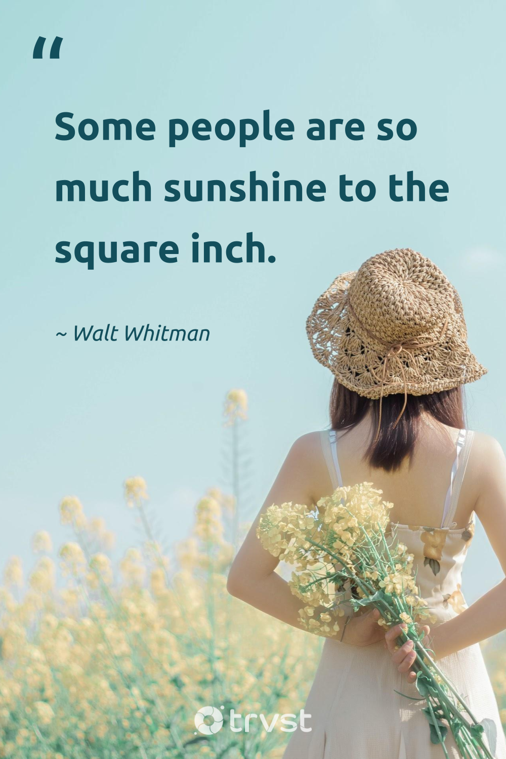 93 Sunshine Quotes & Sayings To Embrace Warmth (2024)