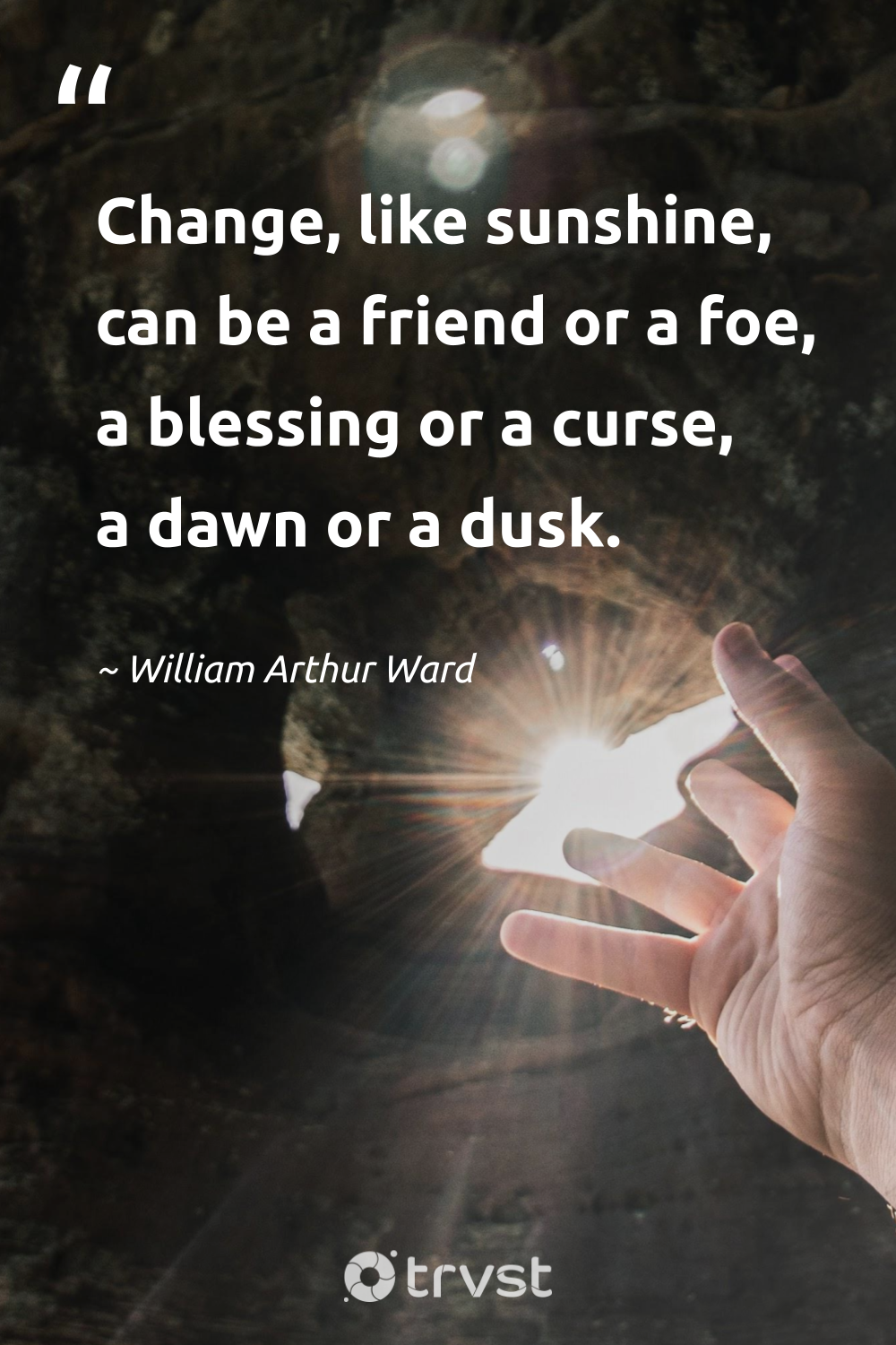 93 Sunshine Quotes & Sayings To Embrace Warmth (2024)