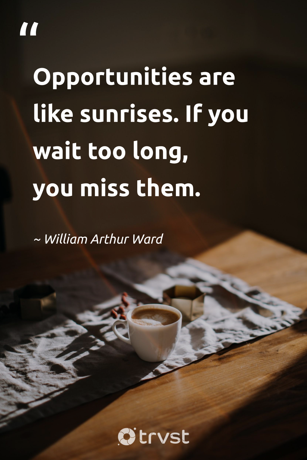 93 Sunshine Quotes & Sayings To Embrace Warmth (2024)