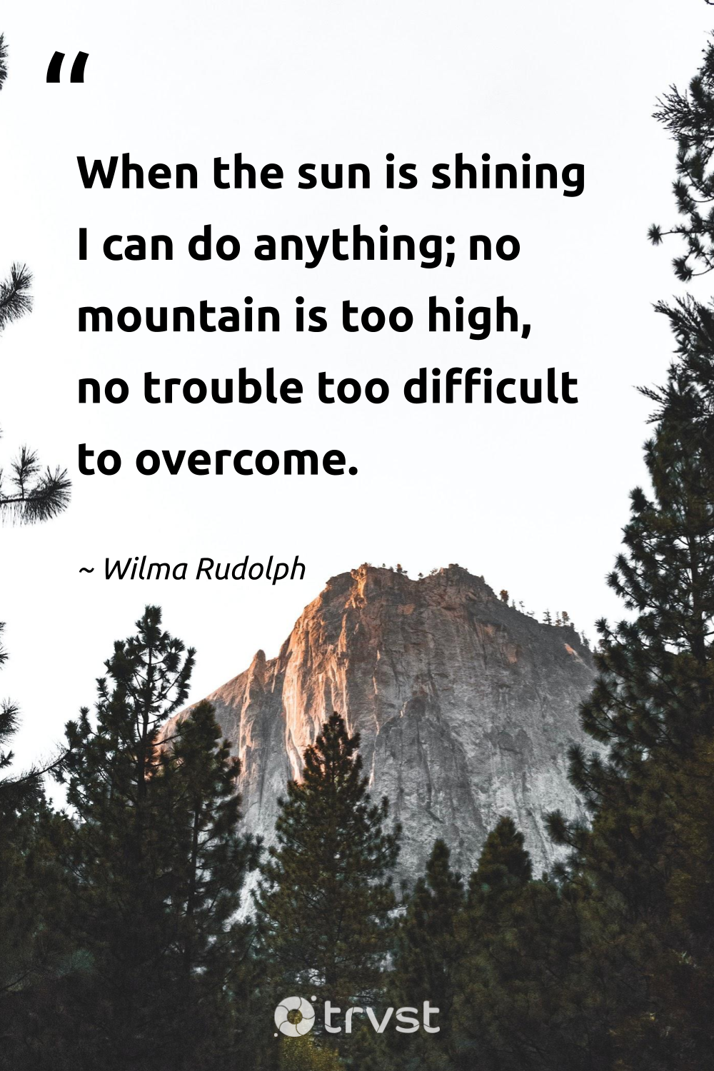 93 Sunshine Quotes & Sayings To Embrace Warmth (2024)