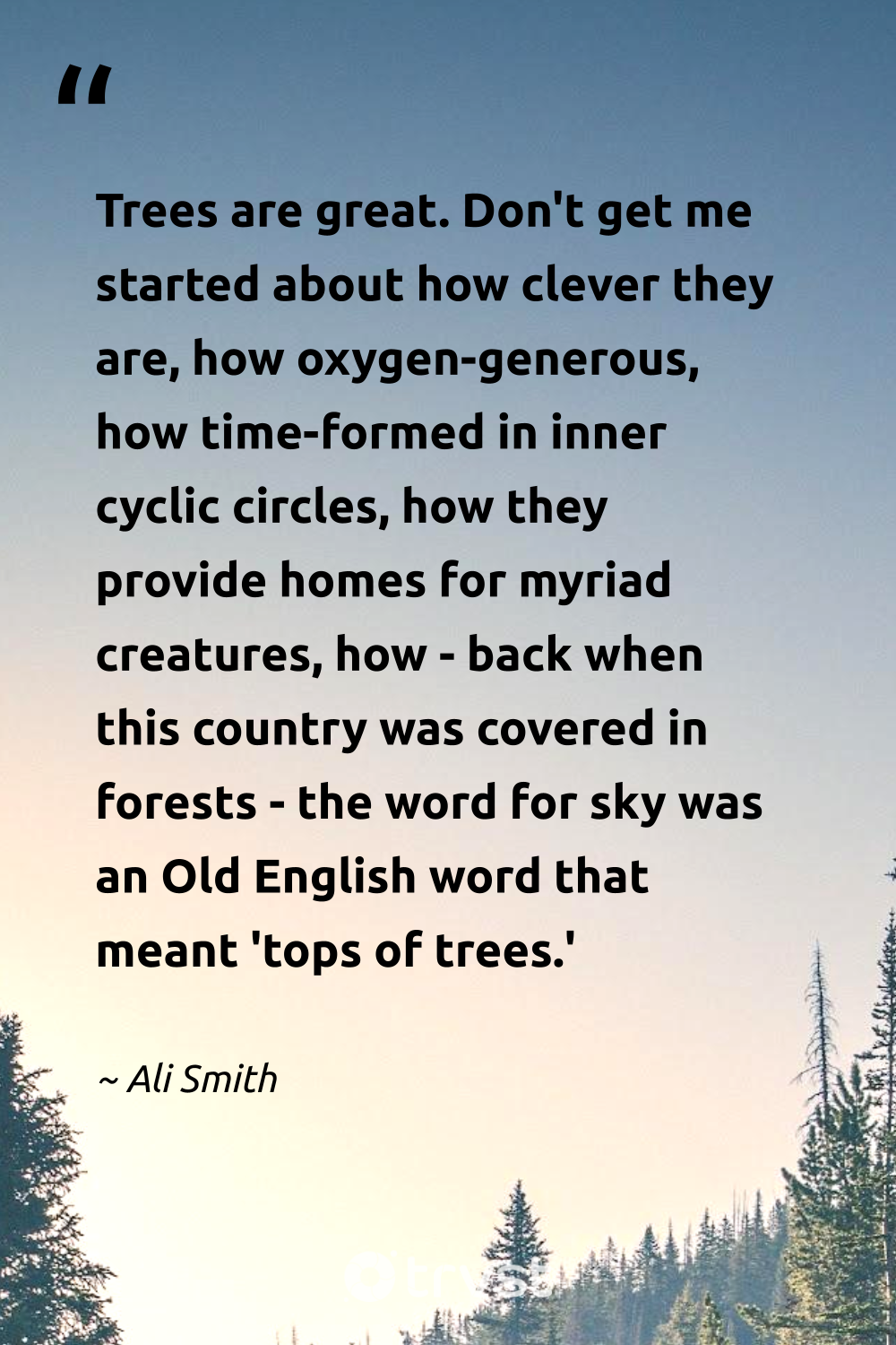 82 Tree Quotes to Encourage Growth and Preservation