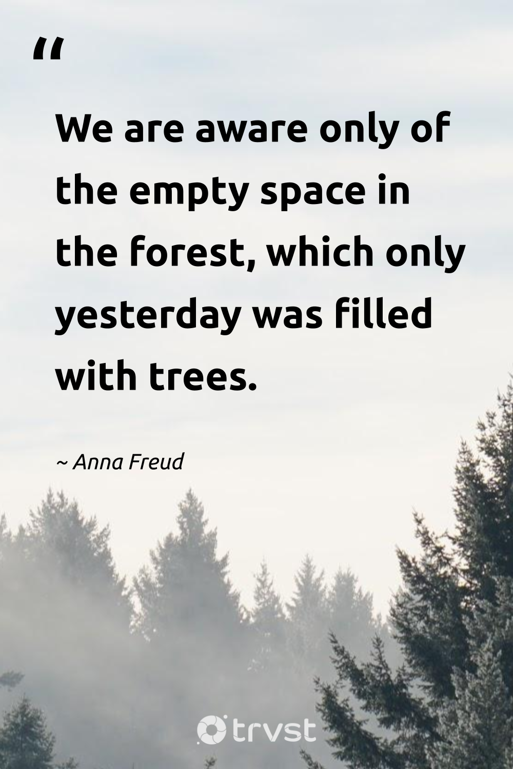 82 Tree Quotes to Encourage Growth and Preservation