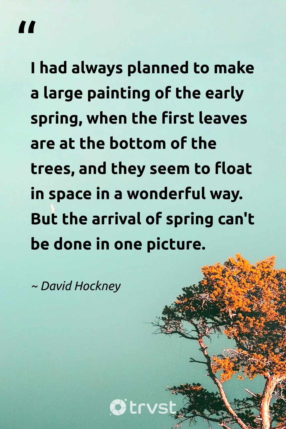 82 Tree Quotes to Encourage Growth and Preservation