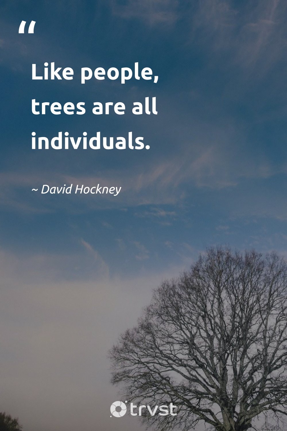 82 Tree Quotes to Encourage Growth and Preservation