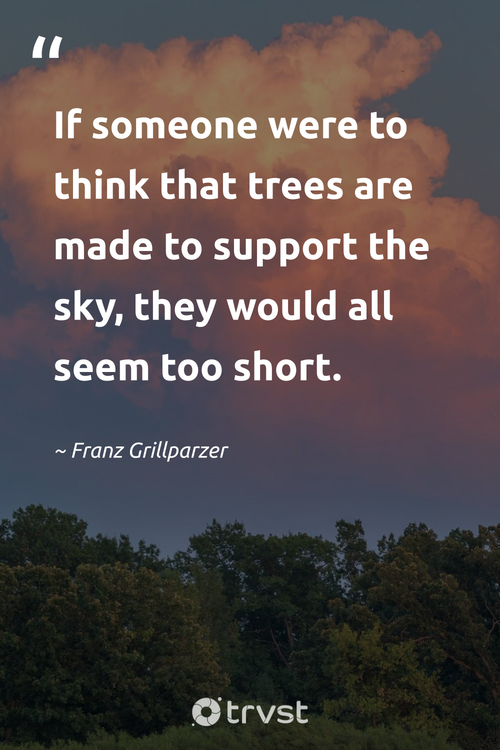 82 Tree Quotes to Encourage Growth and Preservation