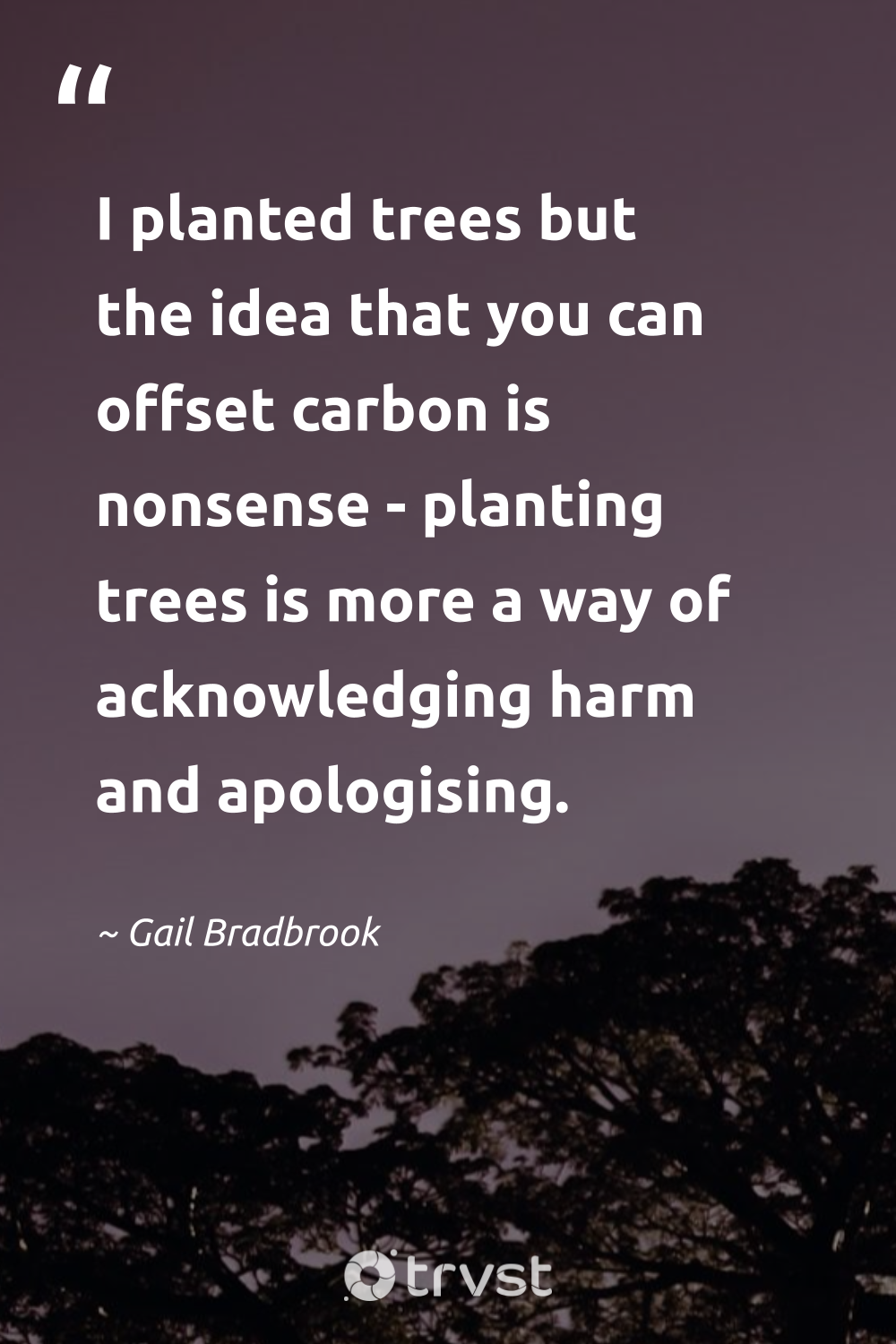 82 Tree Quotes to Encourage Growth and Preservation