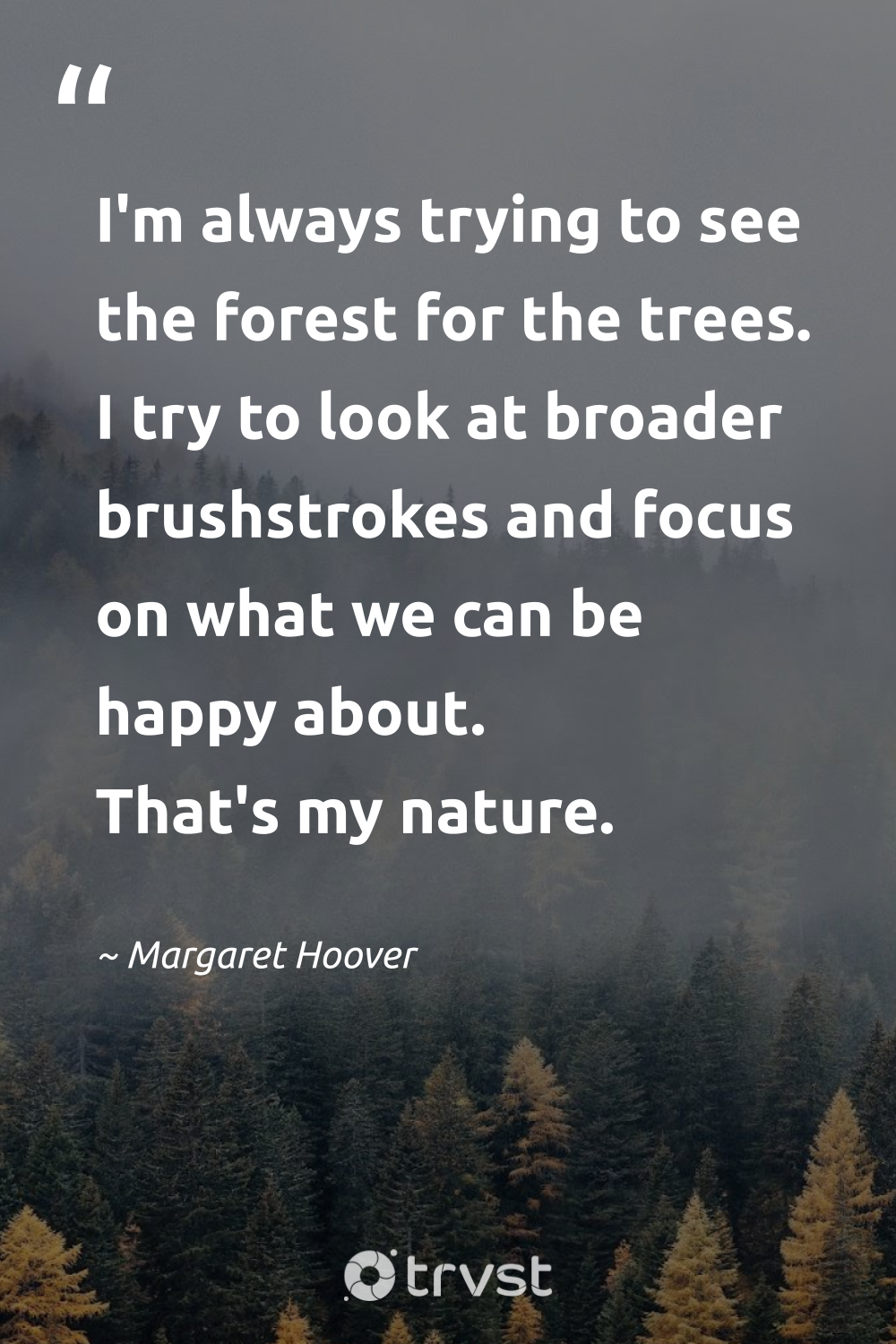 82 Tree Quotes to Encourage Growth and Preservation
