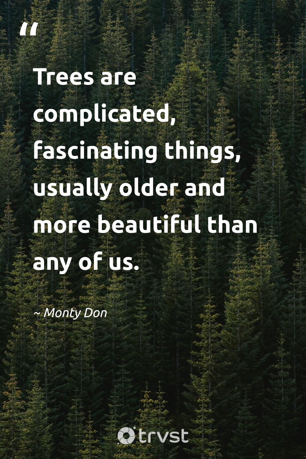 82 Tree Quotes to Encourage Growth and Preservation