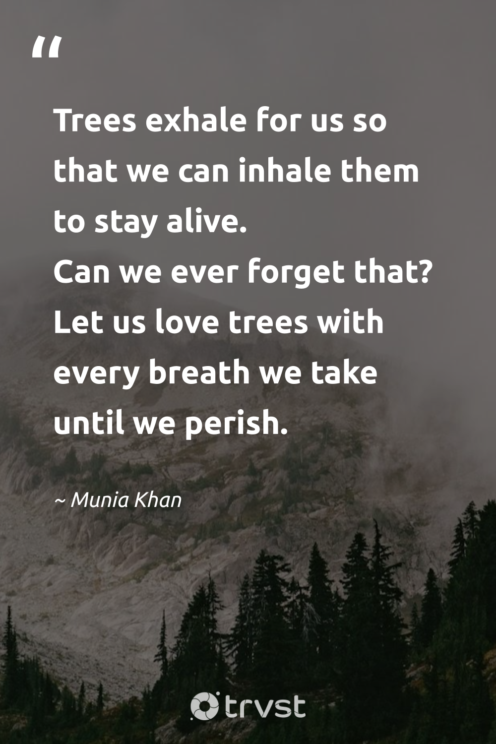 82 Tree Quotes to Encourage Growth and Preservation