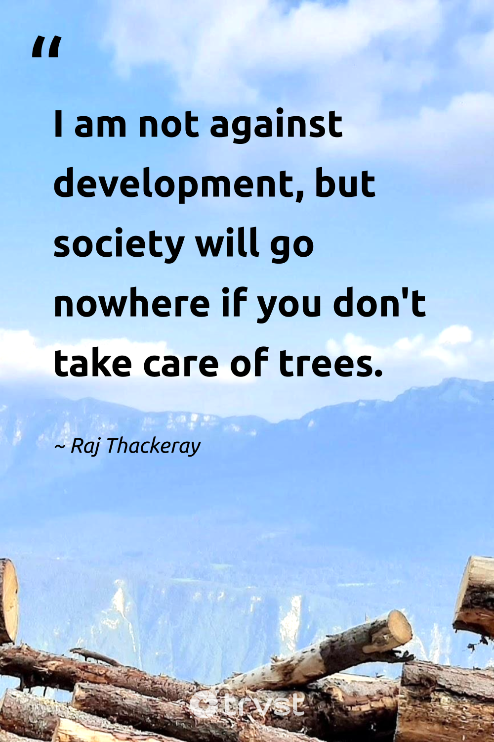 82 Tree Quotes to Encourage Growth and Preservation