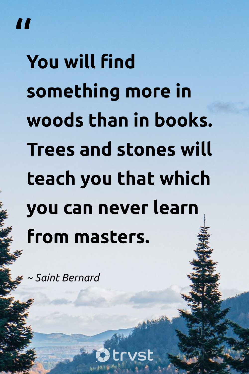 82 Tree Quotes to Encourage Growth and Preservation