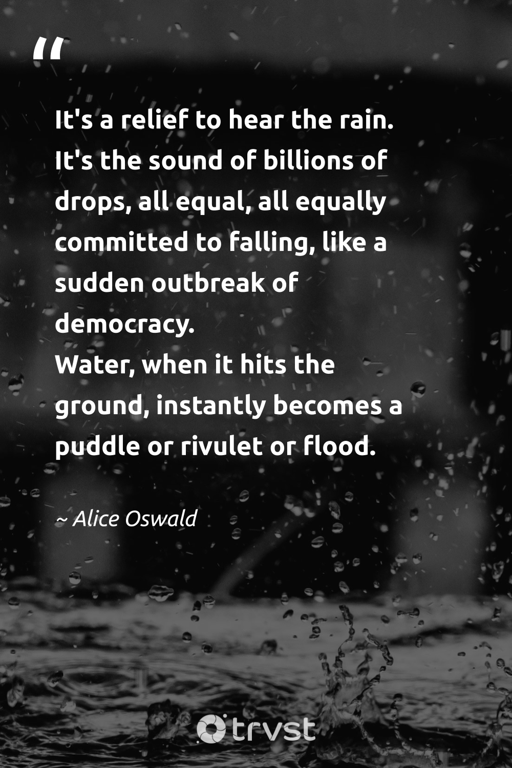 108 Water Quotes To Refresh And Reinforce Its Importance (2024)