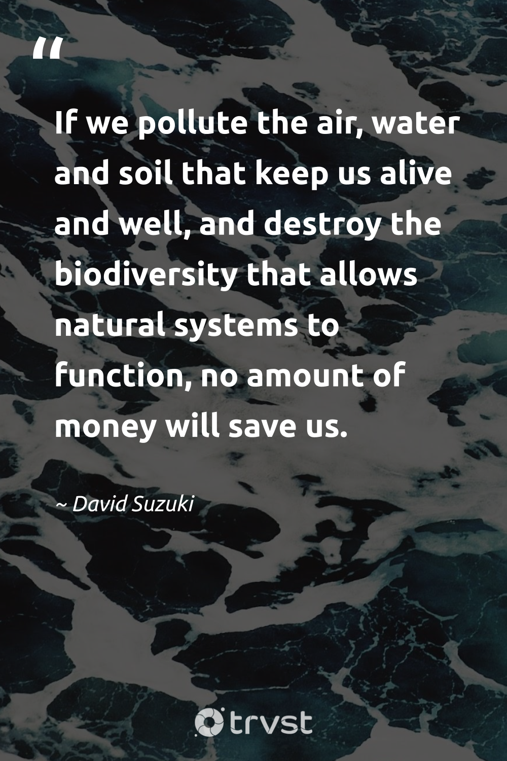 108 Water Quotes To Refresh And Reinforce Its Importance (2024)